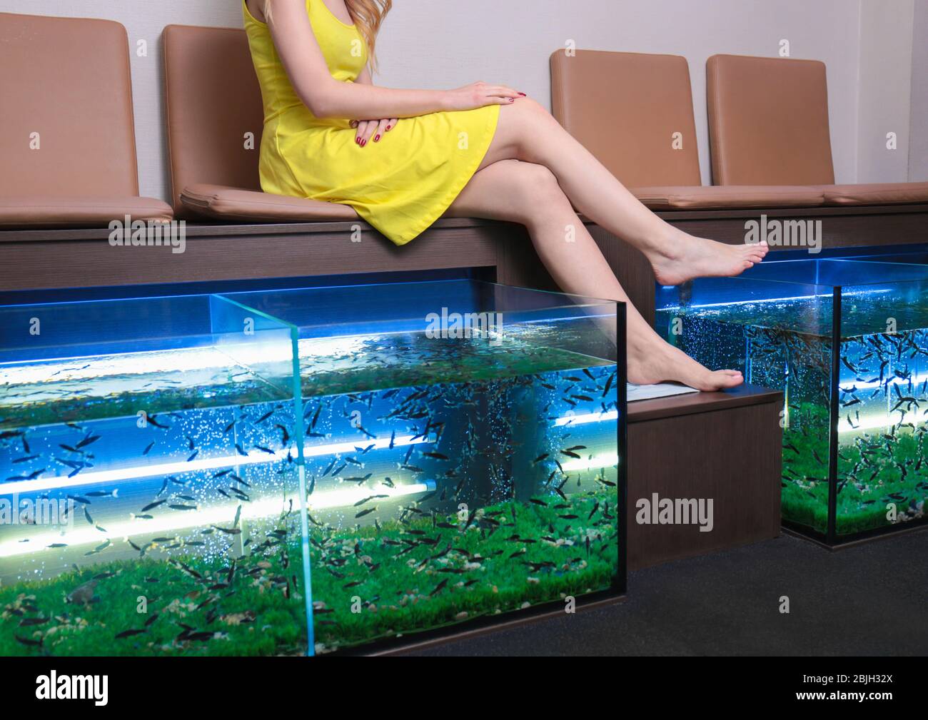 Young woman in beauty salon. Fish pedicure as new modern spa treatment ...