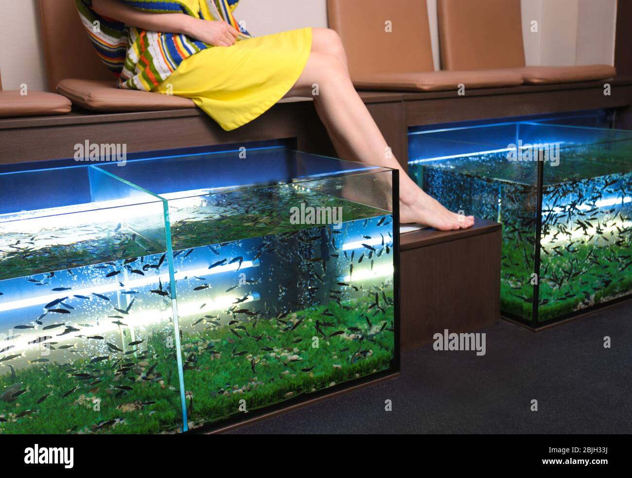 Young woman in beauty salon. Fish pedicure as new modern spa treatment ...