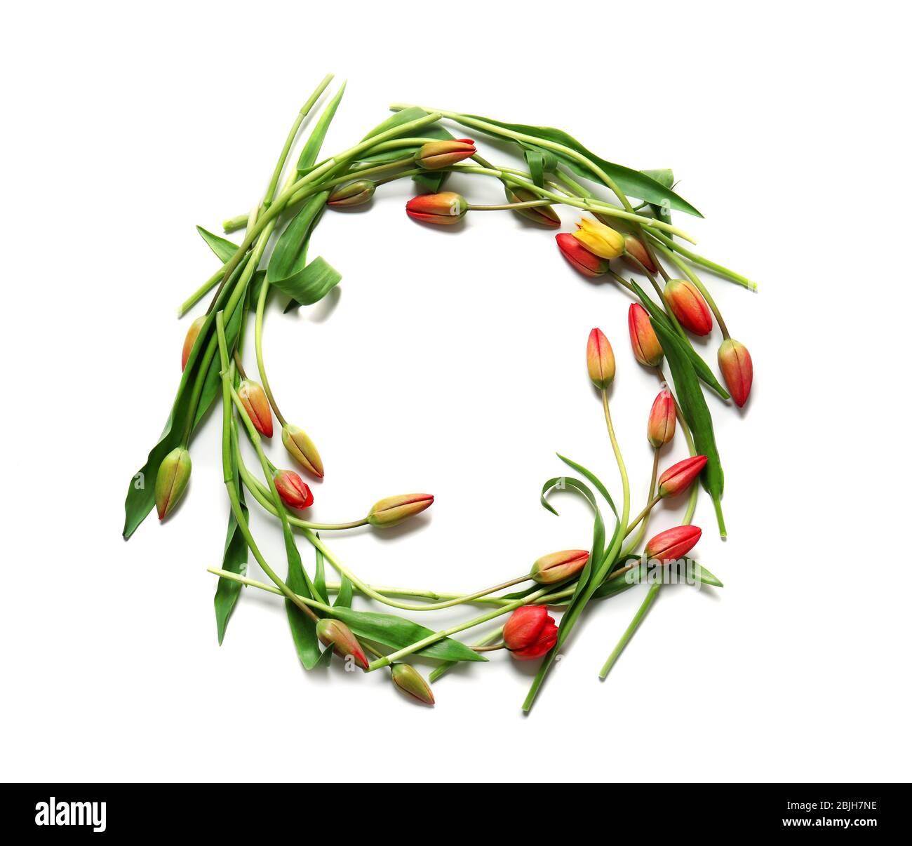 Frame made of beautiful tulips on white background Stock Photo - Alamy