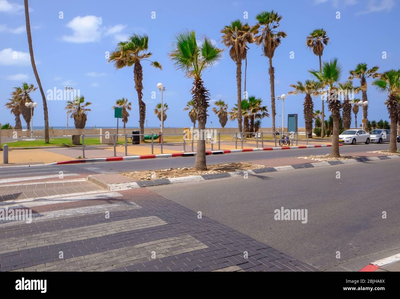 Road with palm trees in beautiful city Stock Photo - Alamy