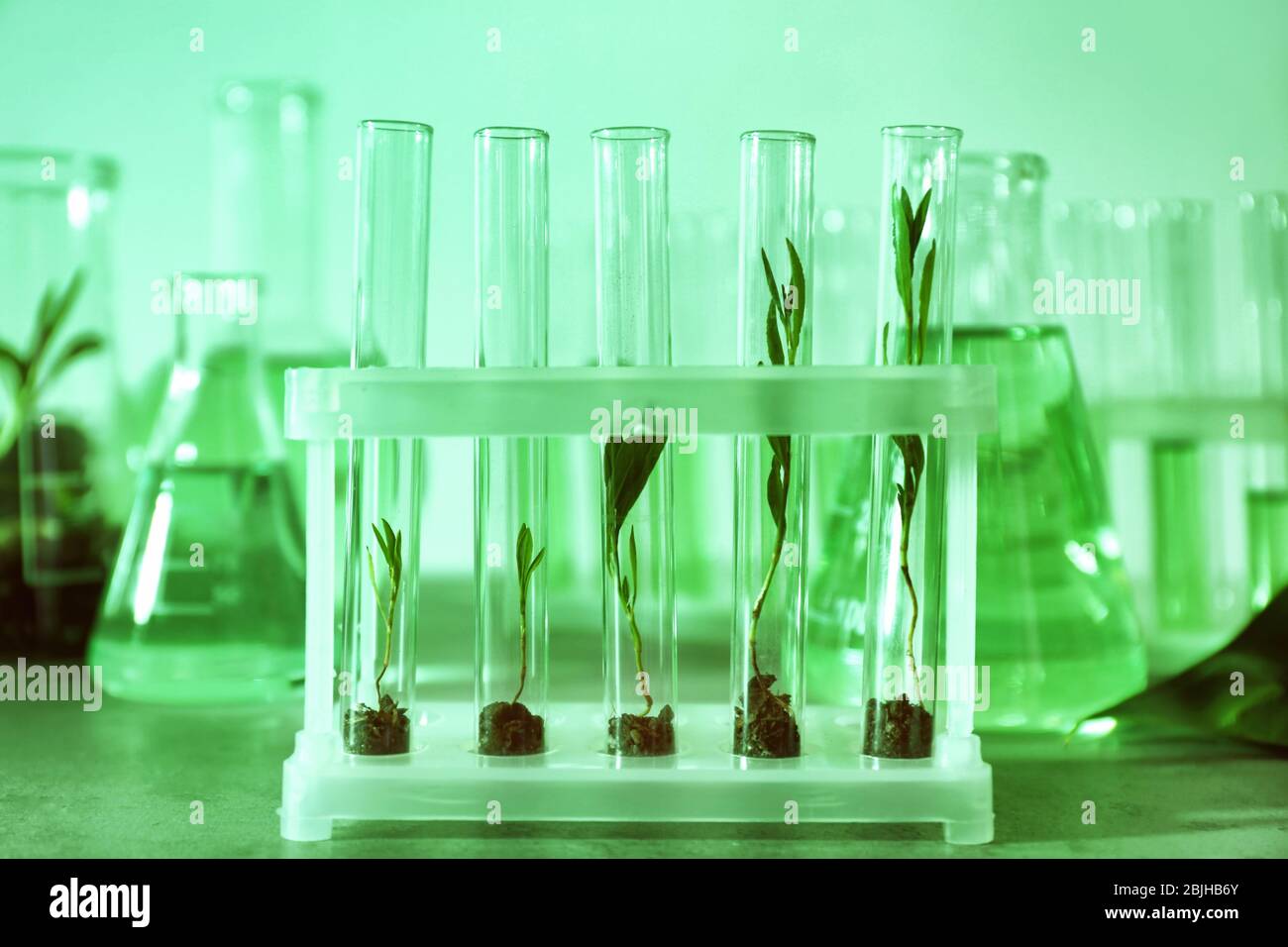 Sample plants in test tubes hi-res stock photography and images - Alamy