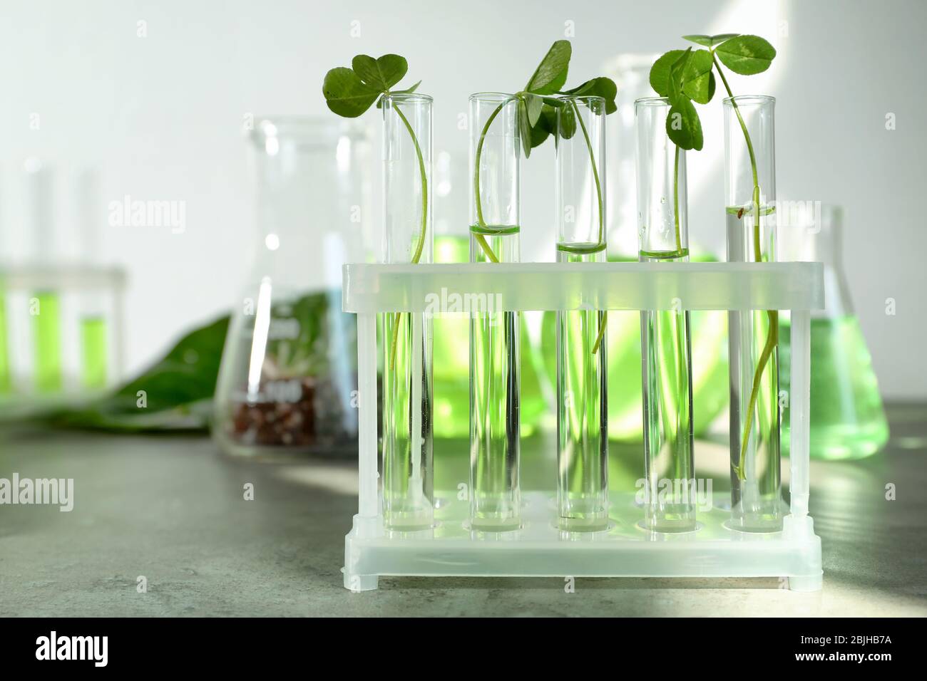 Sample plants in test tubes hi-res stock photography and images - Alamy
