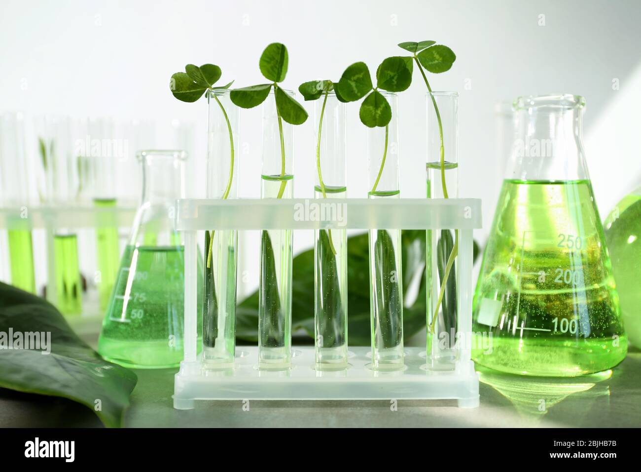 Sample plants in test tubes hi-res stock photography and images - Alamy
