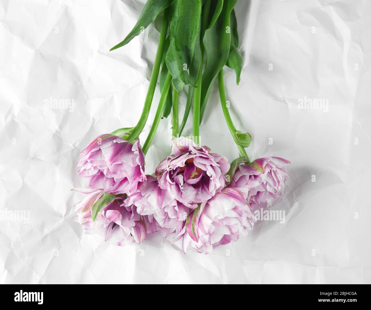 Beautiful tulip flowers on crumpled paper background Stock Photo - Alamy