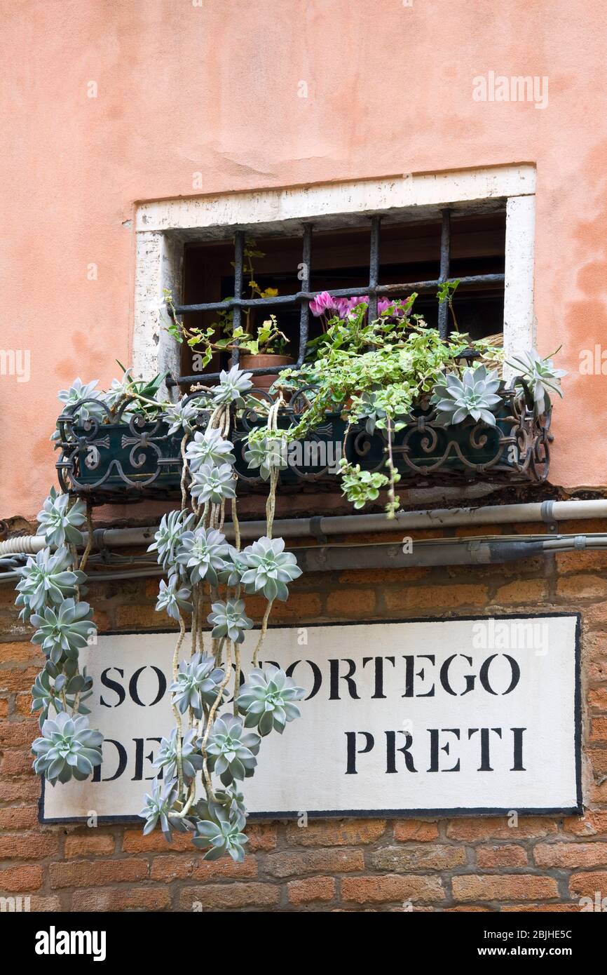 Flower box in Venice, Italy, Europe Stock Photo - Alamy