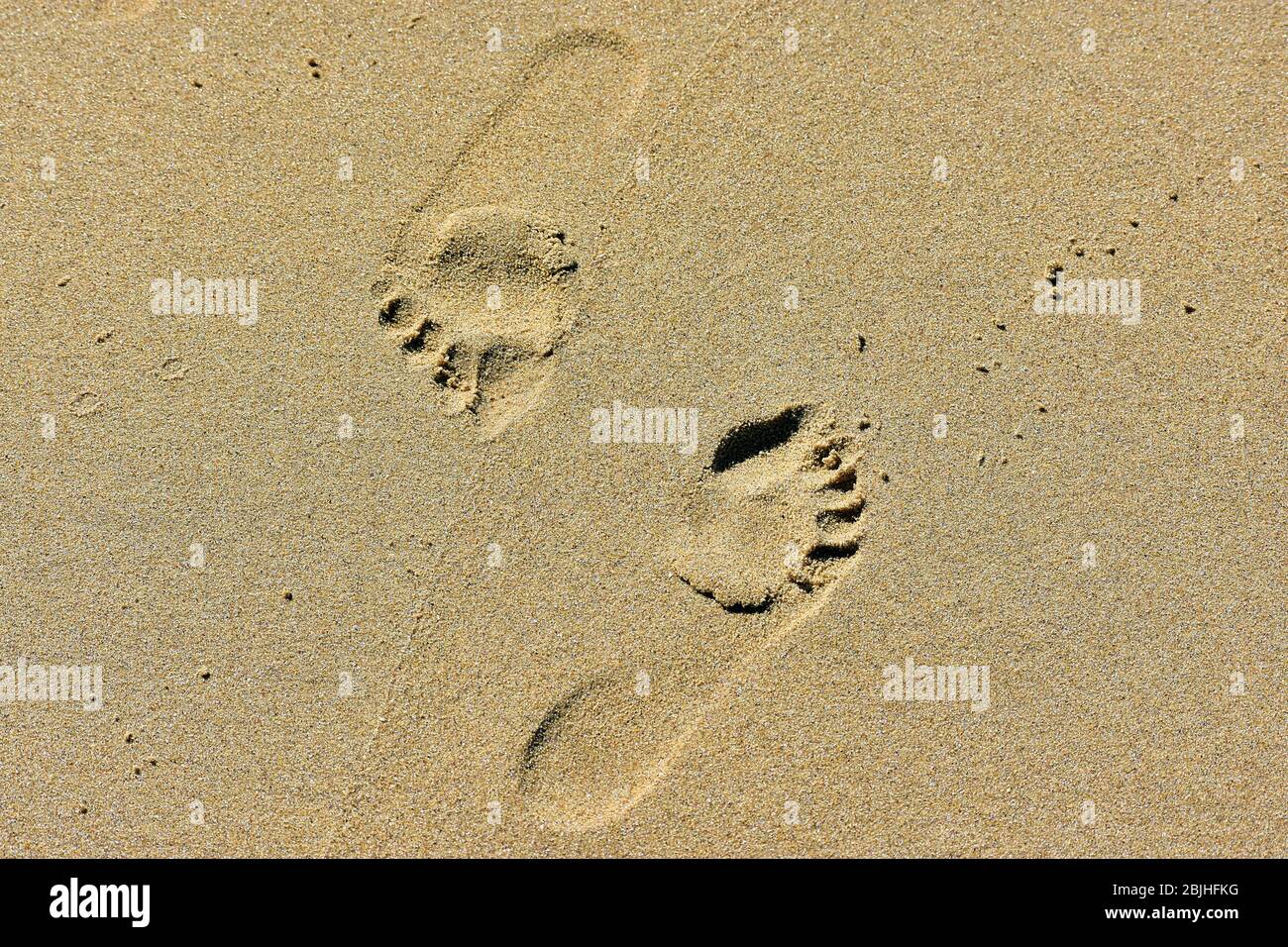 Close up sandy foot hi-res stock photography and images - Alamy