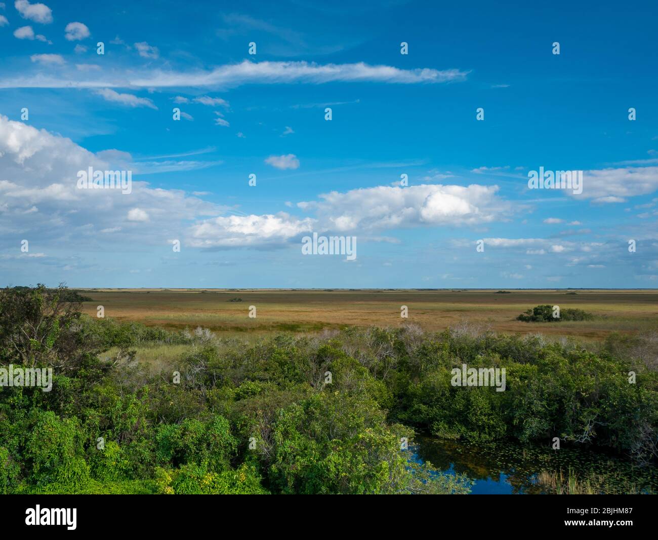 Everglades landscape showing a pond, saw grass, trees, and a brilliant ...