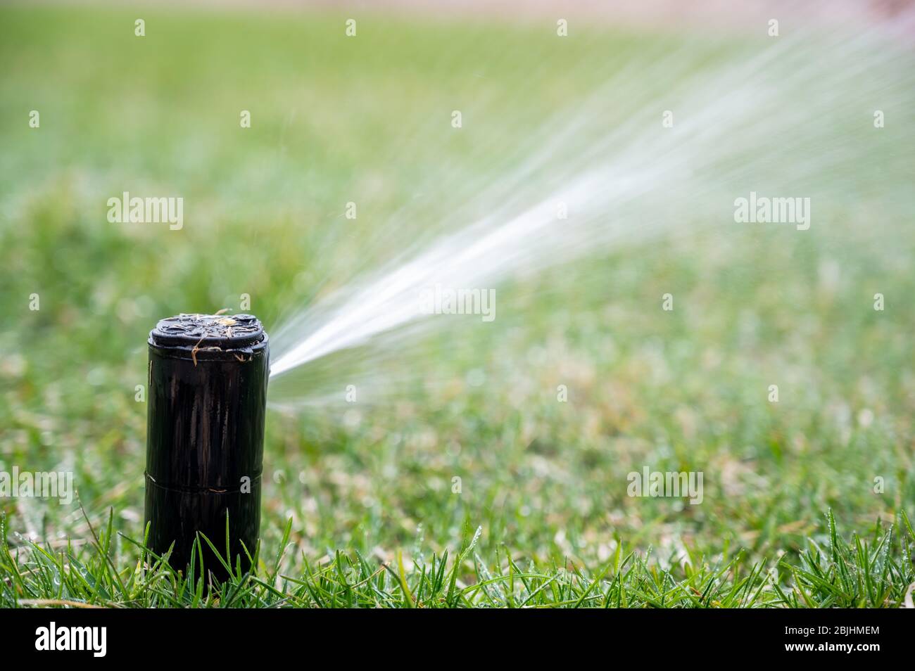 pop up automatic water sprinkler spraying jet across lawn Stock Photo ...