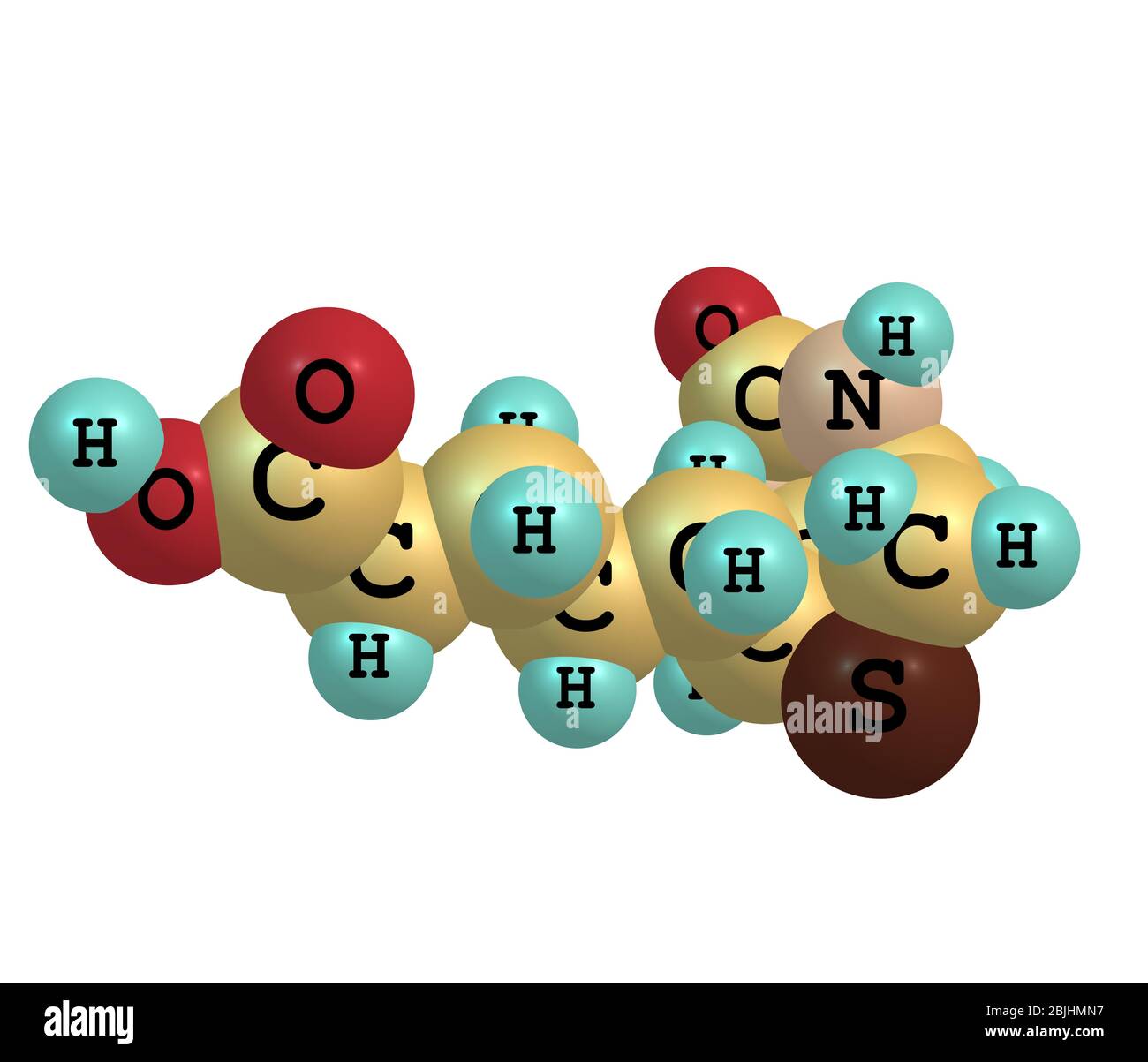 Vitamin b7 molecular model of biotin hi-res stock photography and ...