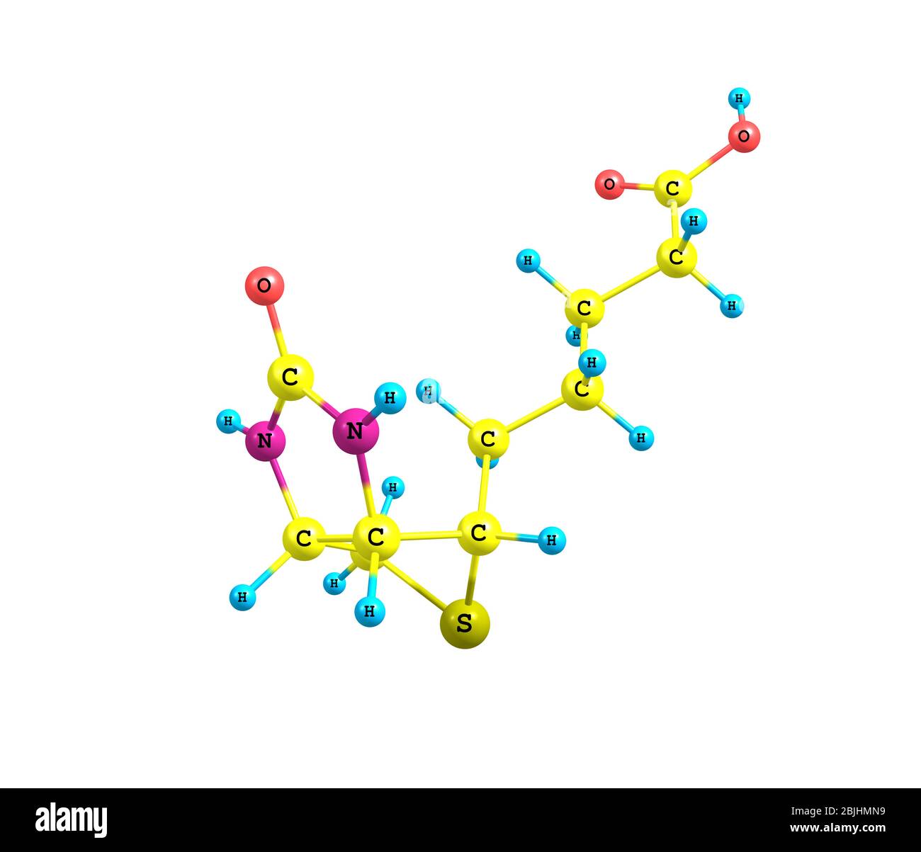 Biotin (B7 or coenzyme R) is a water-soluble B-vitamin Stock Photo - Alamy