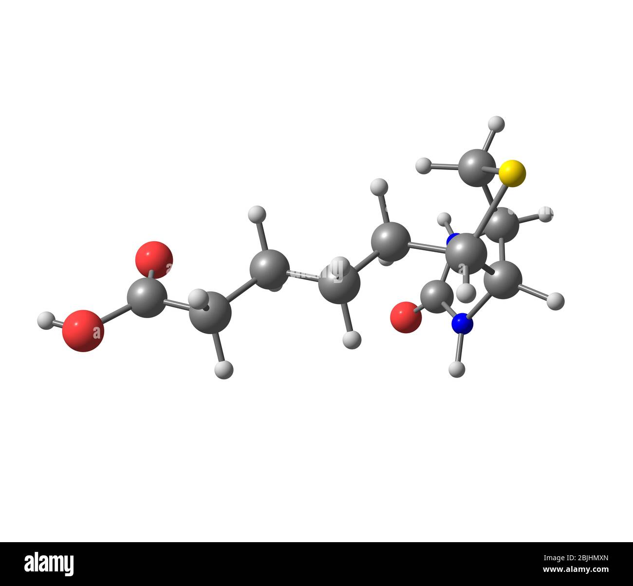 Biotin (B7 or coenzyme R) is a water-soluble B-vitamin Stock Photo - Alamy