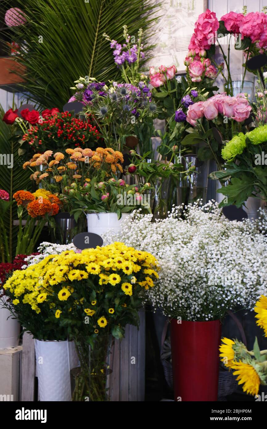 Different blooming flowers in store Stock Photo - Alamy