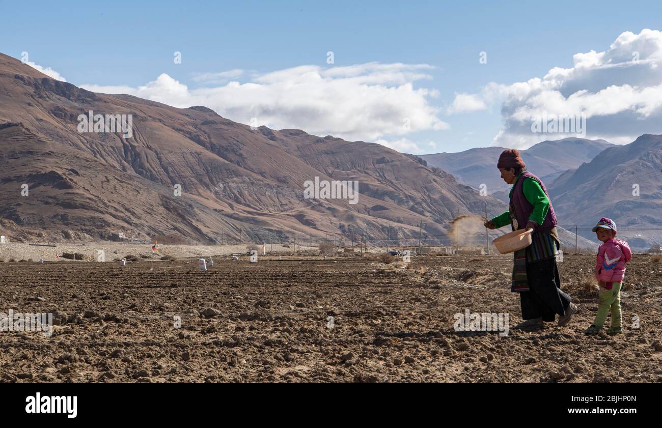 Beijing, China's Tibet Autonomous Region. 25th Apr, 2020. A villager ...