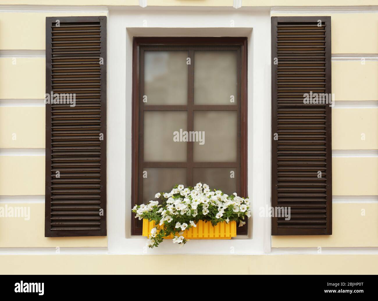Modern wooden window decorated with flower Stock Photo - Alamy
