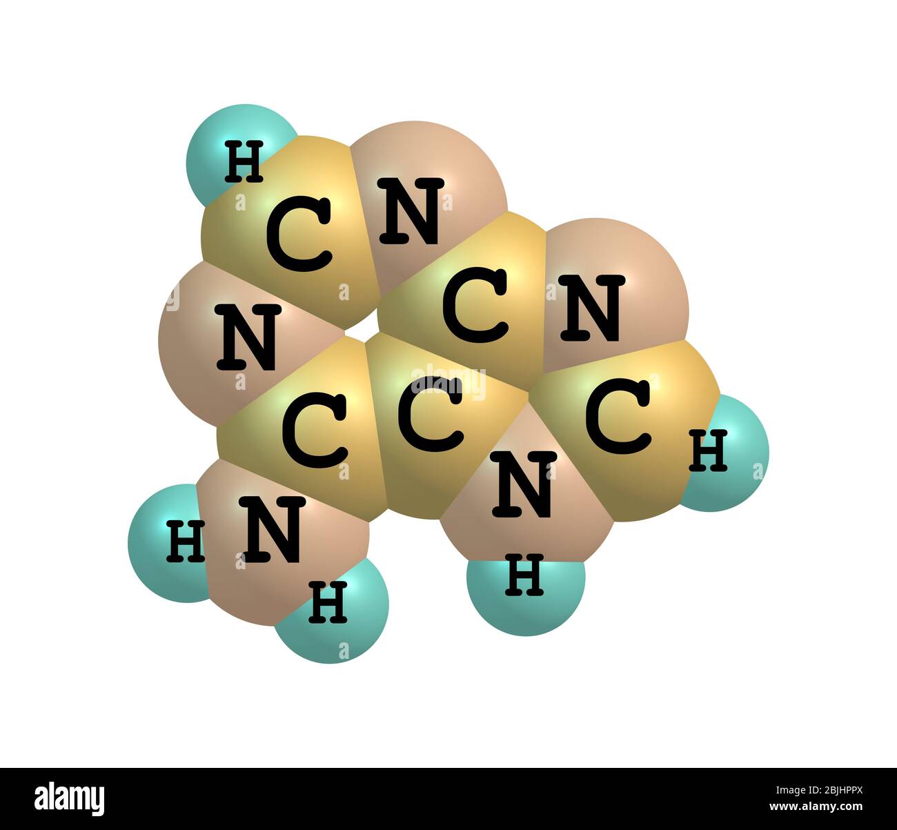 Adenine is a nucleobase (a purine derivative), chemical component of ...