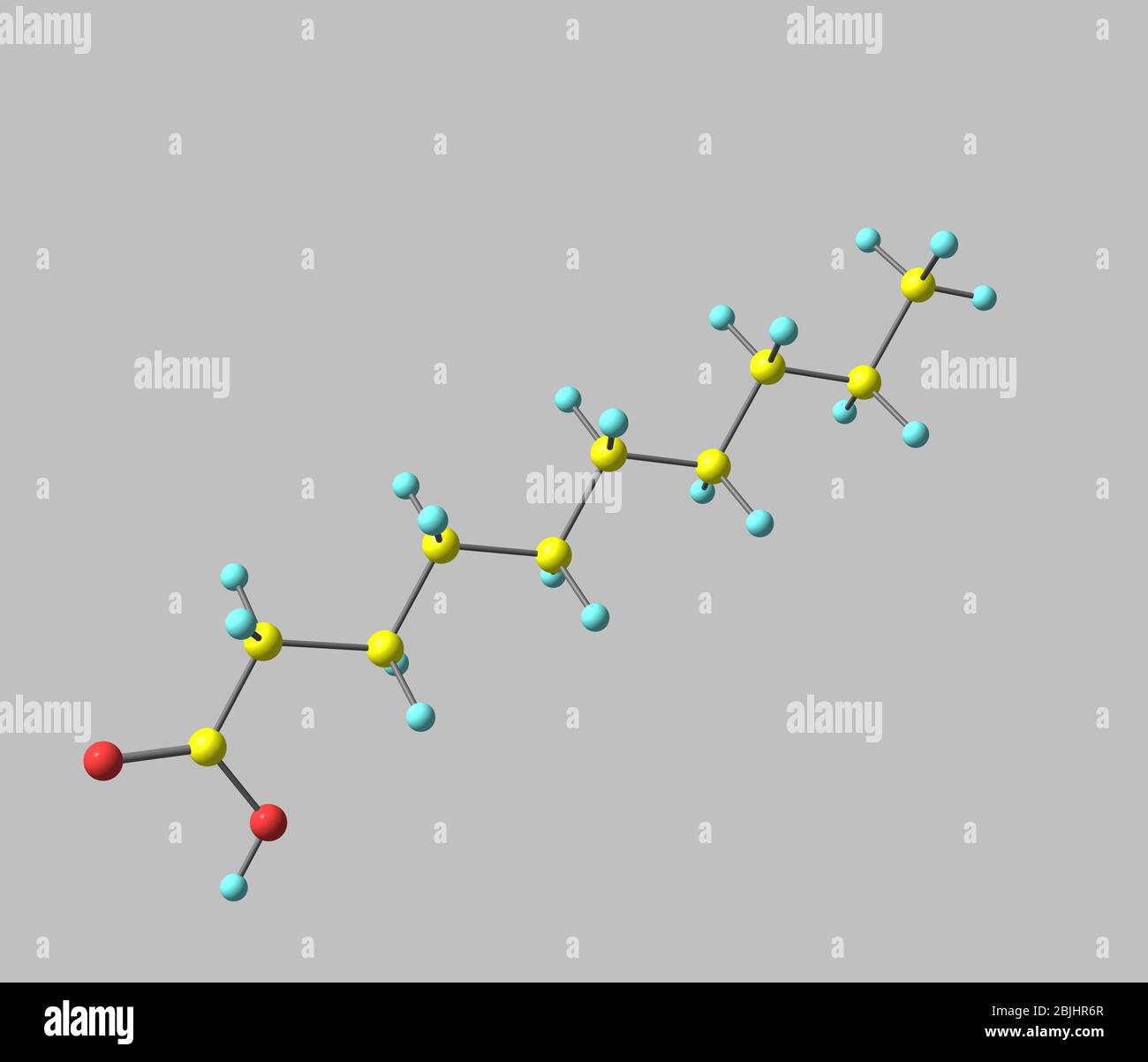 Capric Acid Structure