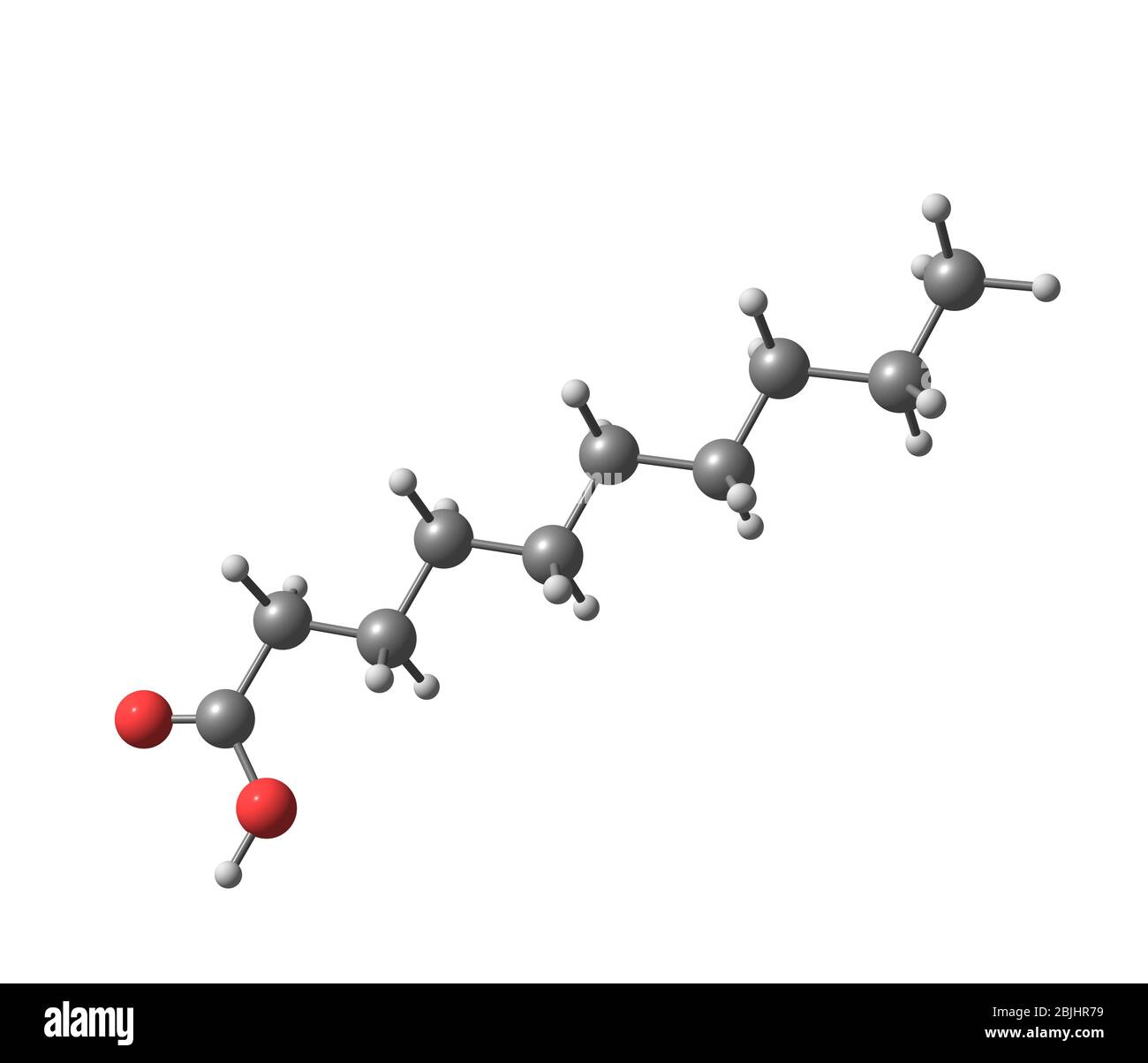 Capric Acid Structure