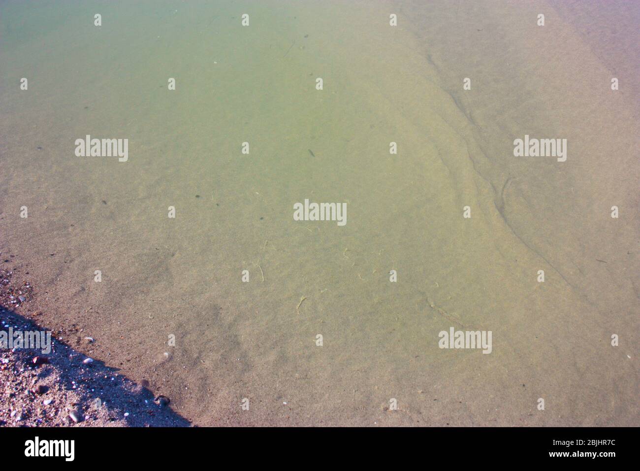 Puddle in dune sea hi-res stock photography and images - Alamy