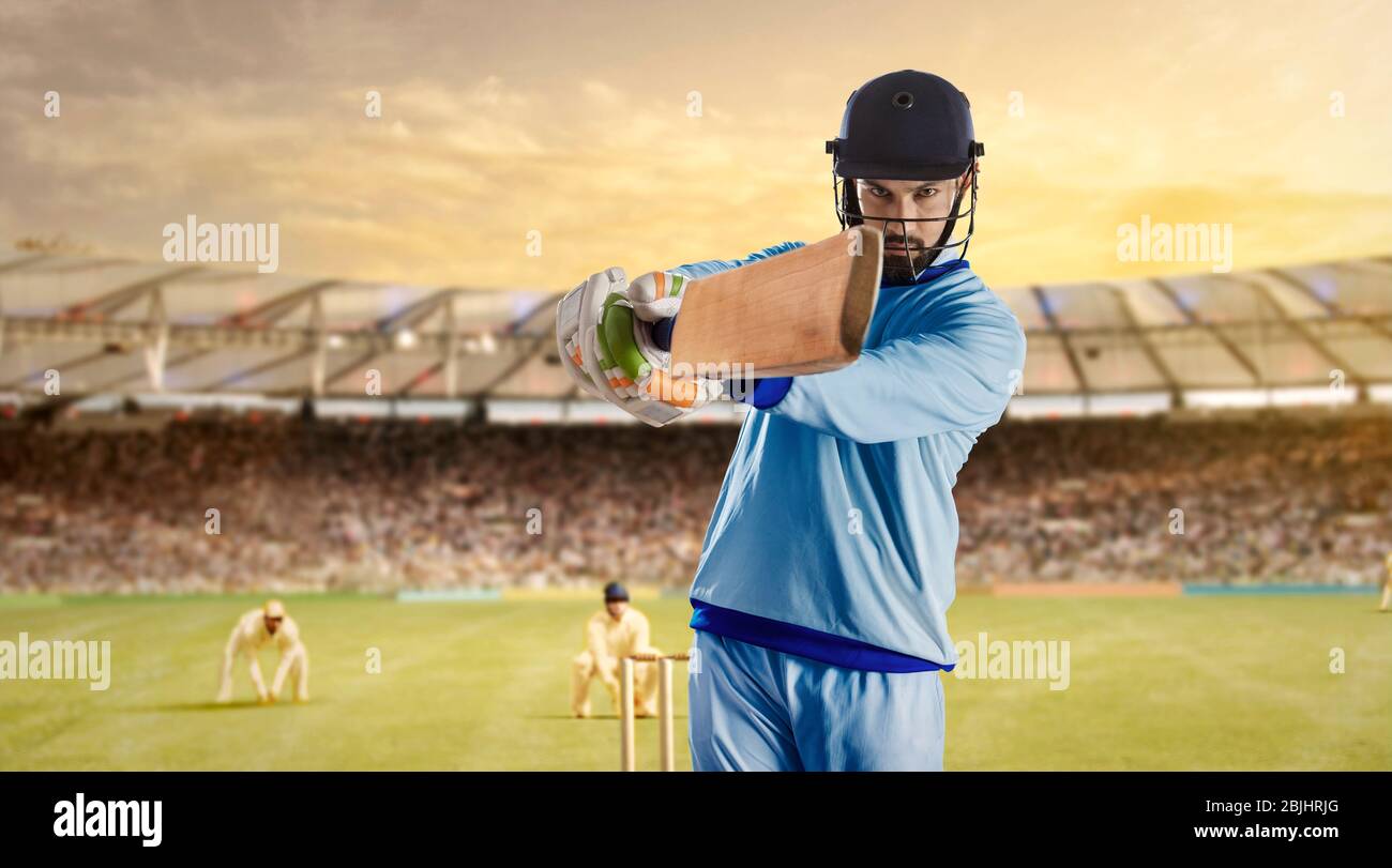 Young cricket close up hi-res stock photography and images - Alamy