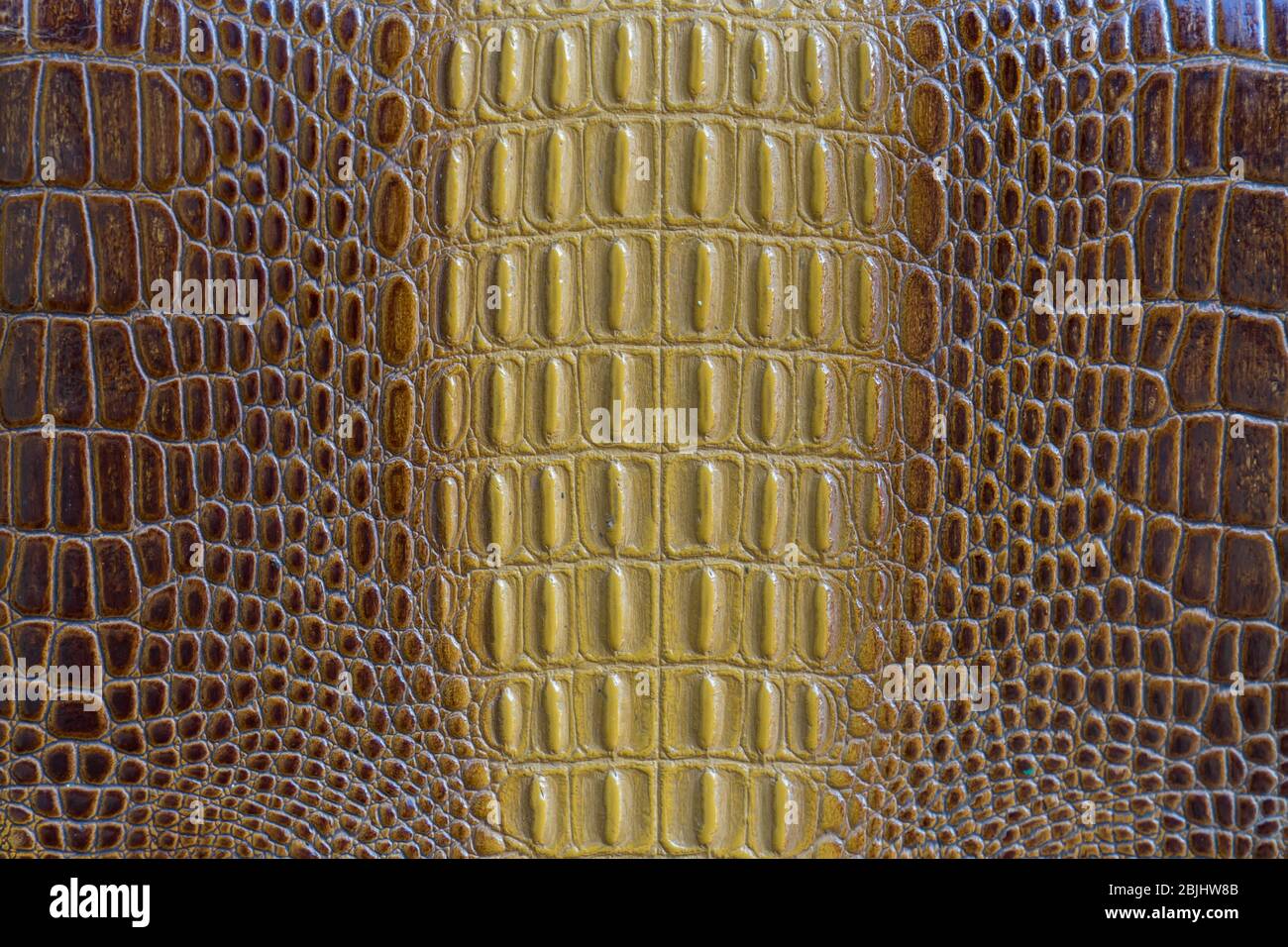 texture of crocodile skin close up Stock Photo - Alamy