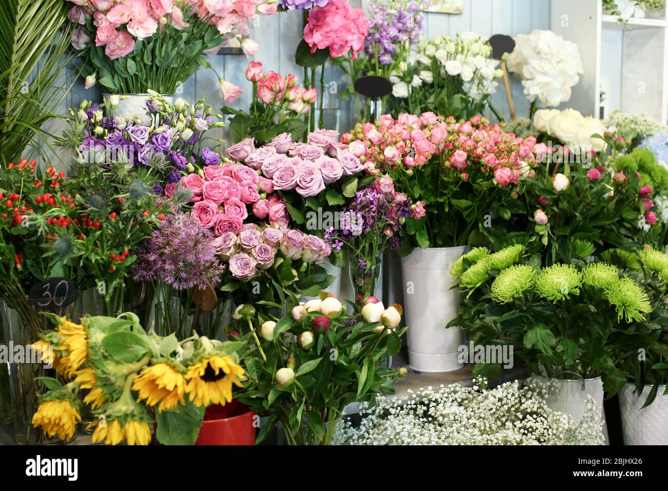 Beautiful colorful flowers in shop Stock Photo - Alamy