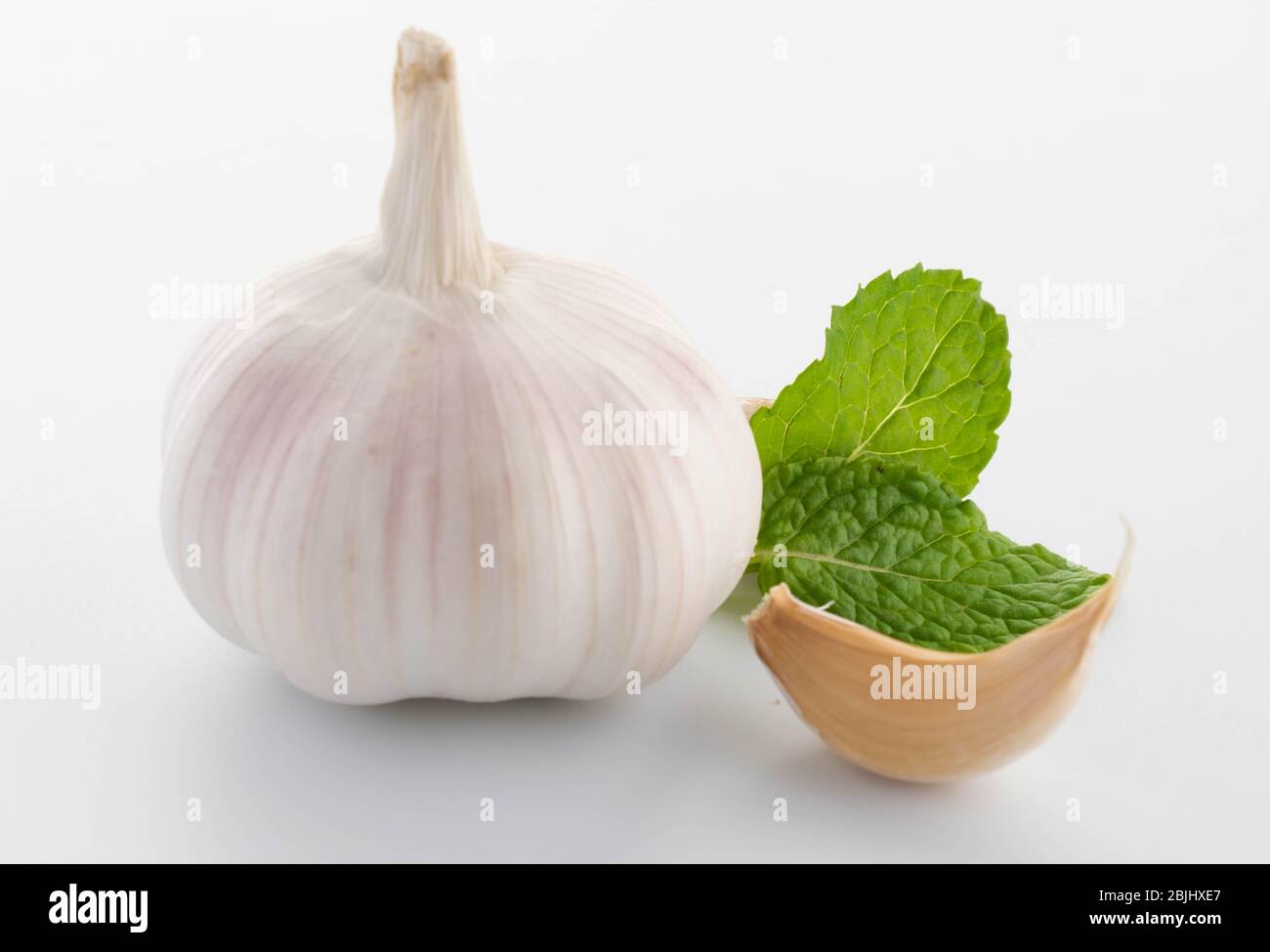 garlic with leaves of green mint isolated on white Stock Photo - Alamy