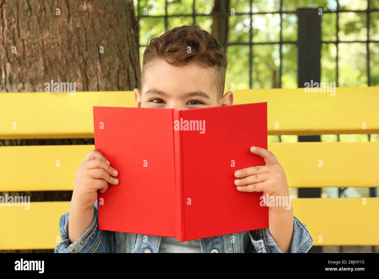 Cute boy with notebook on bench Stock Photo - Alamy