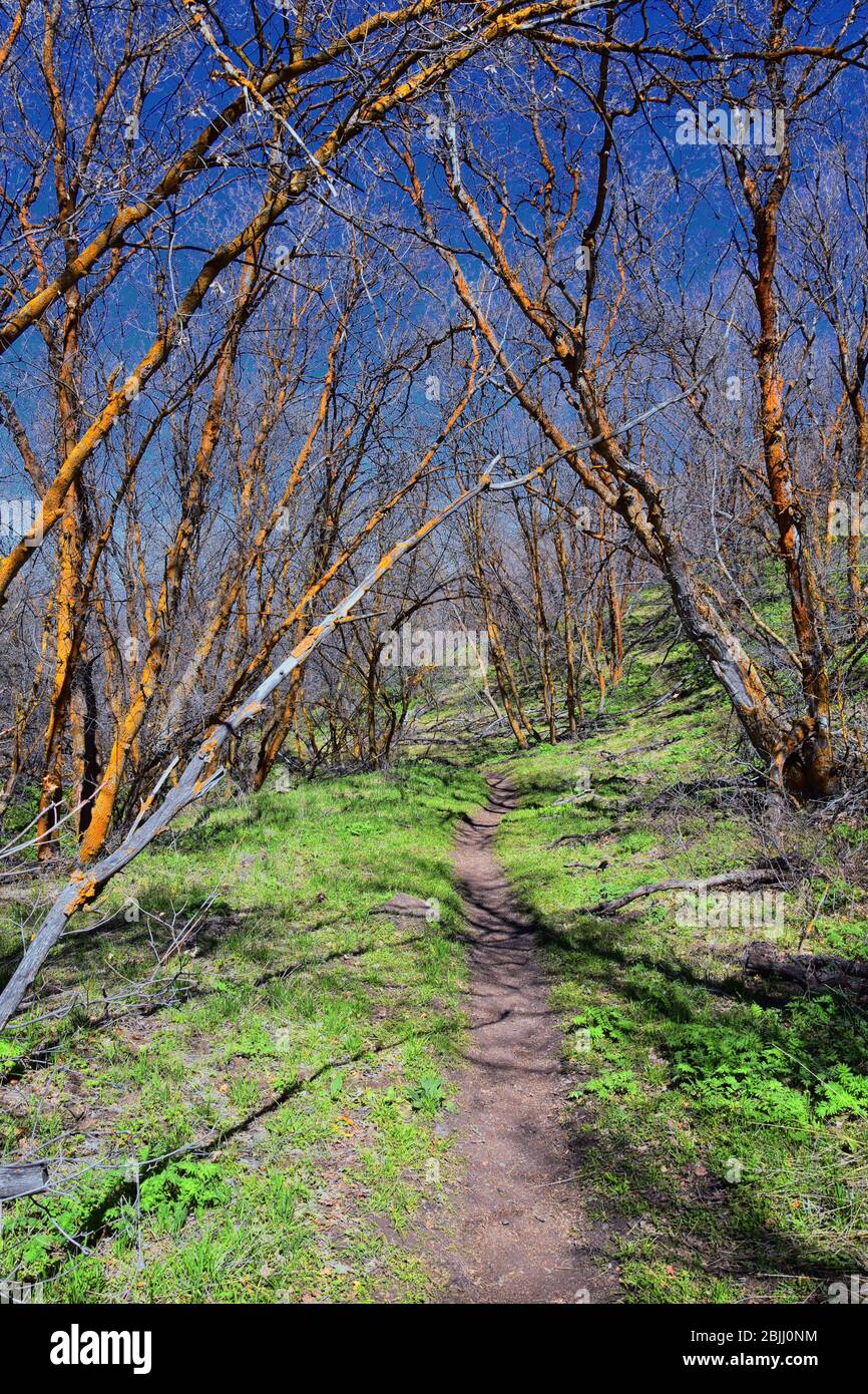 Hiking Trails in Oquirrh, Wasatch, Rocky Mountains in Utah early spring ...
