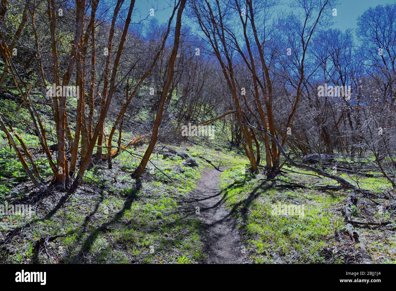 Hiking Trails in Oquirrh, Wasatch, Rocky Mountains in Utah early spring ...