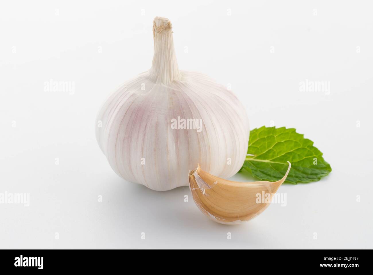 garlic with leaves of green mint isolated on white Stock Photo - Alamy