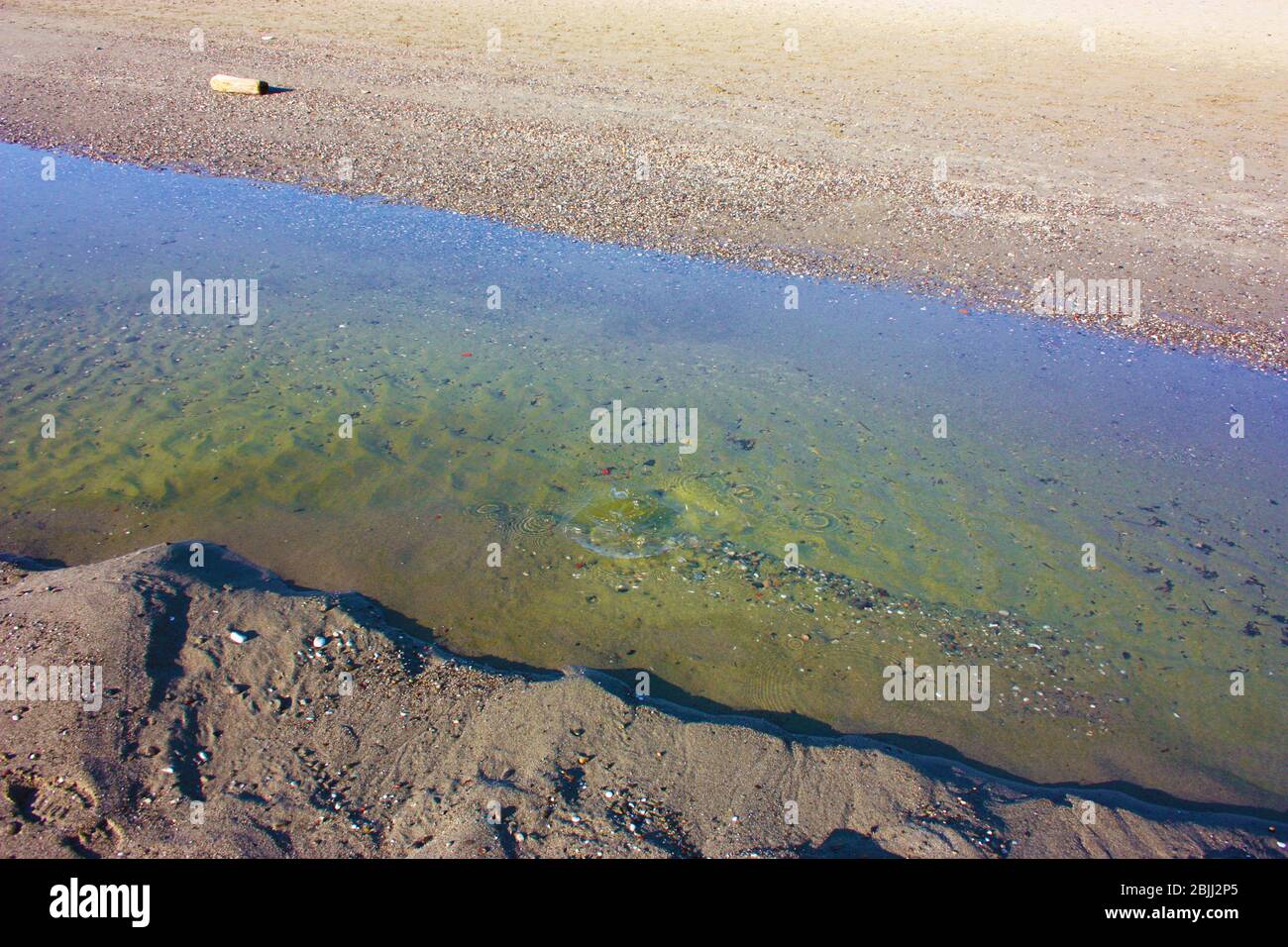 Puddle in dune sea hi-res stock photography and images - Alamy