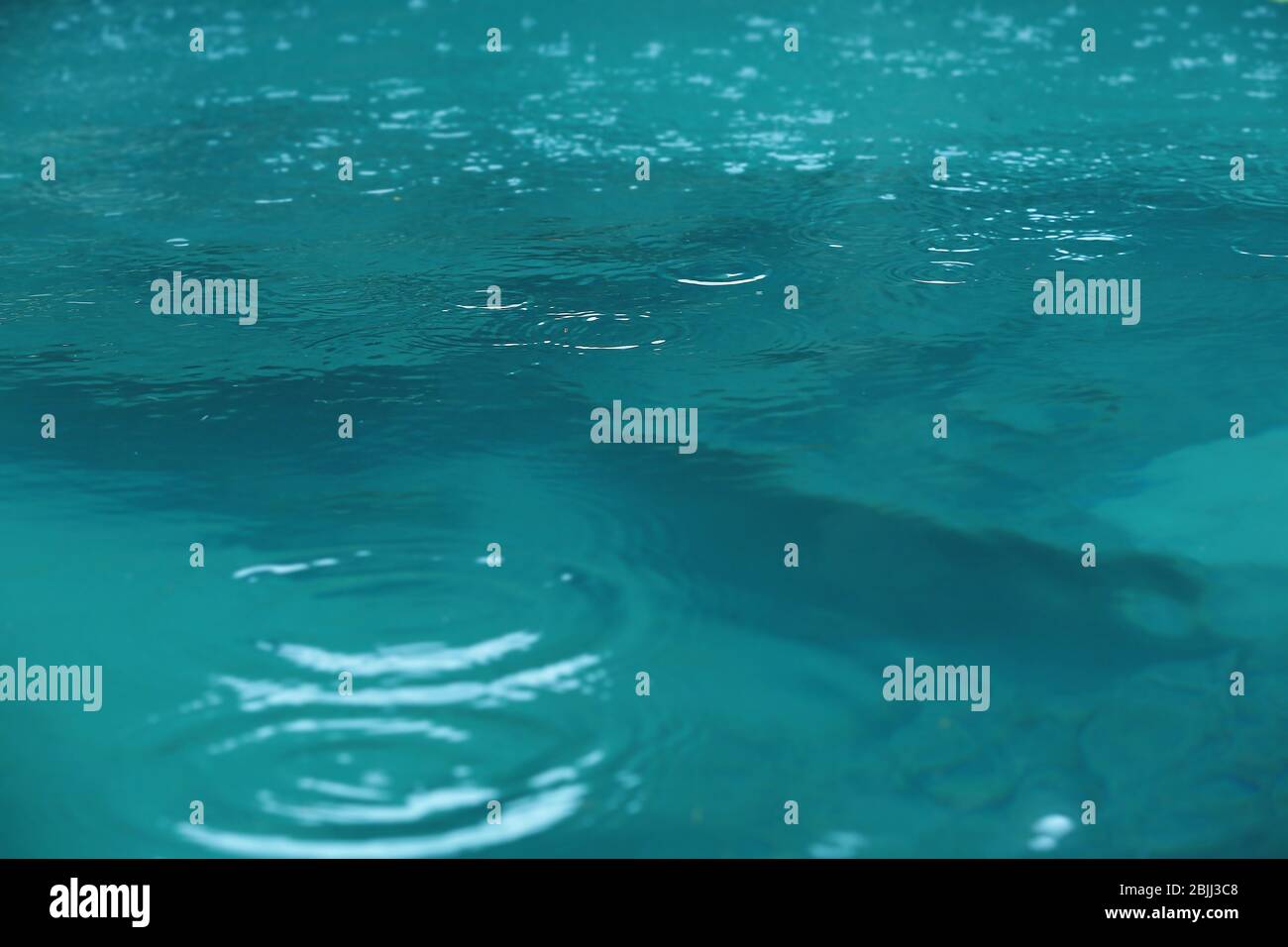 Rain falling on swimming pool hi-res stock photography and images - Alamy