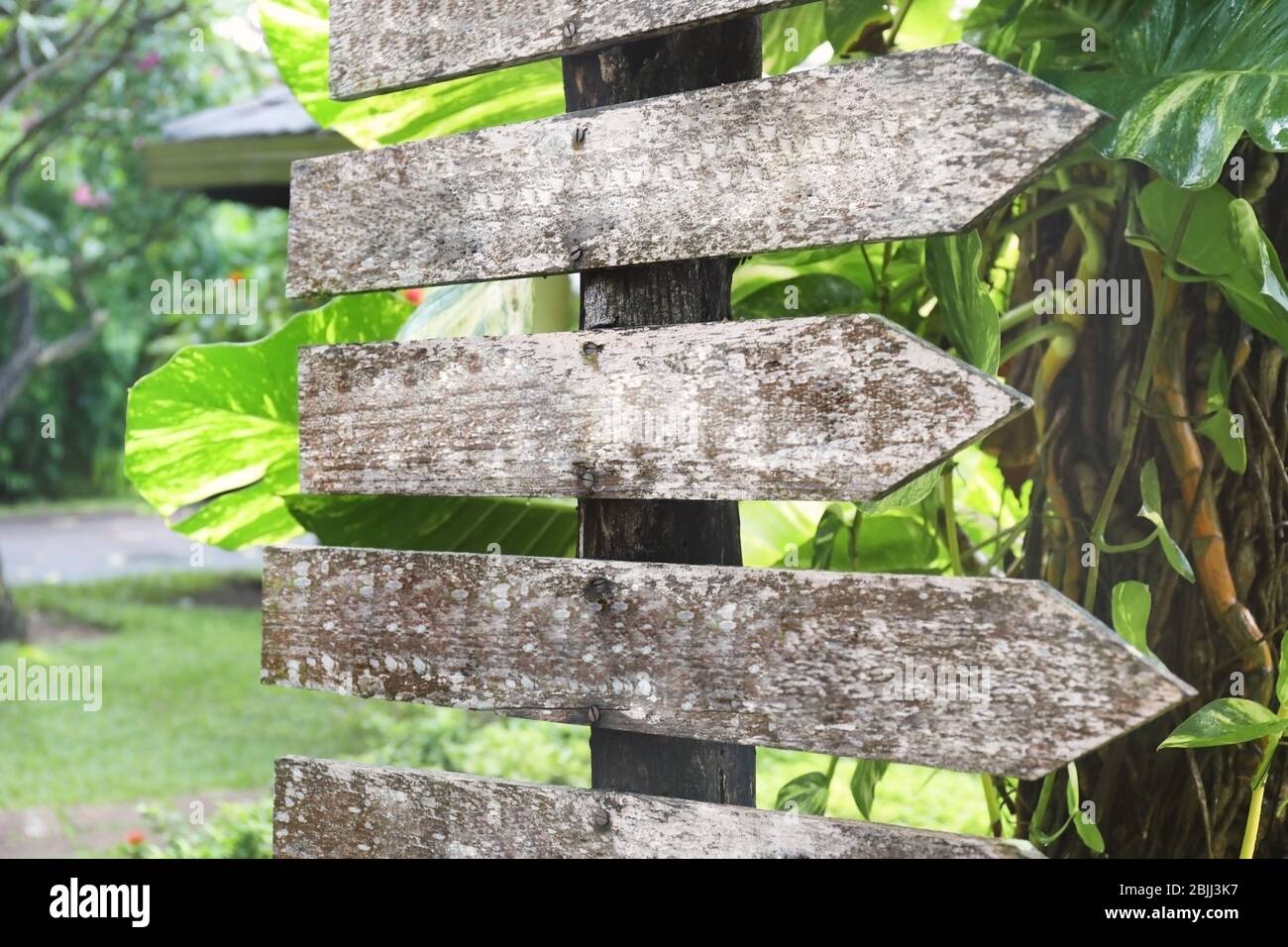 Blank directional signs hi-res stock photography and images - Alamy