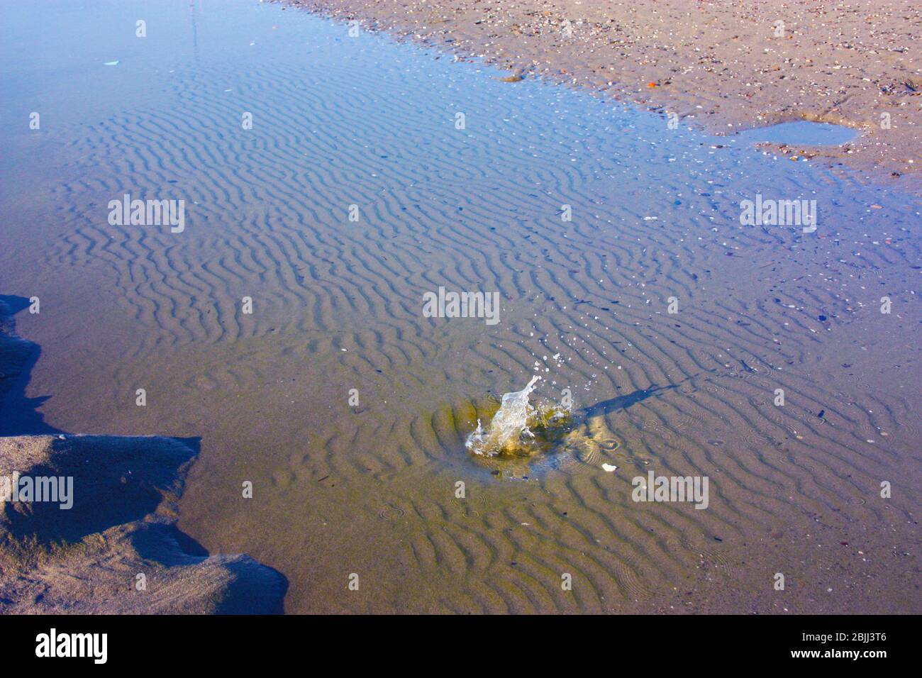 puddle of water in the sand by the sea Stock Photo - Alamy