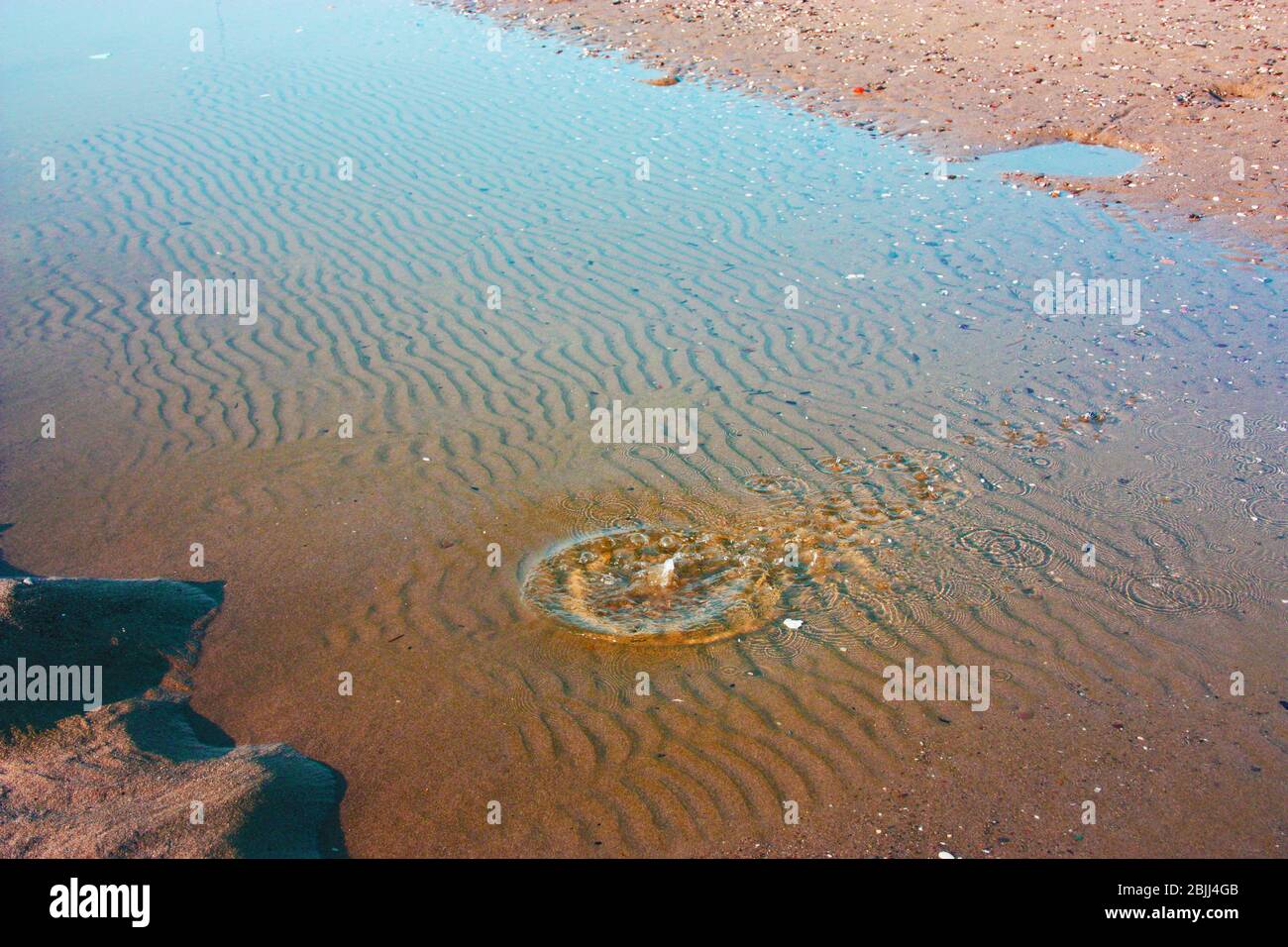 Puddle in dune sea hi-res stock photography and images - Alamy