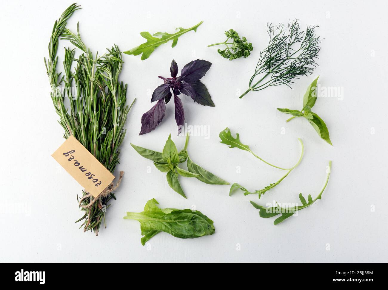 Various fresh herbs medicinal hi-res stock photography and images - Alamy