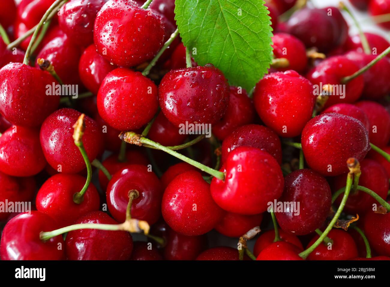 Fresh ripe cherries, close up Stock Photo - Alamy