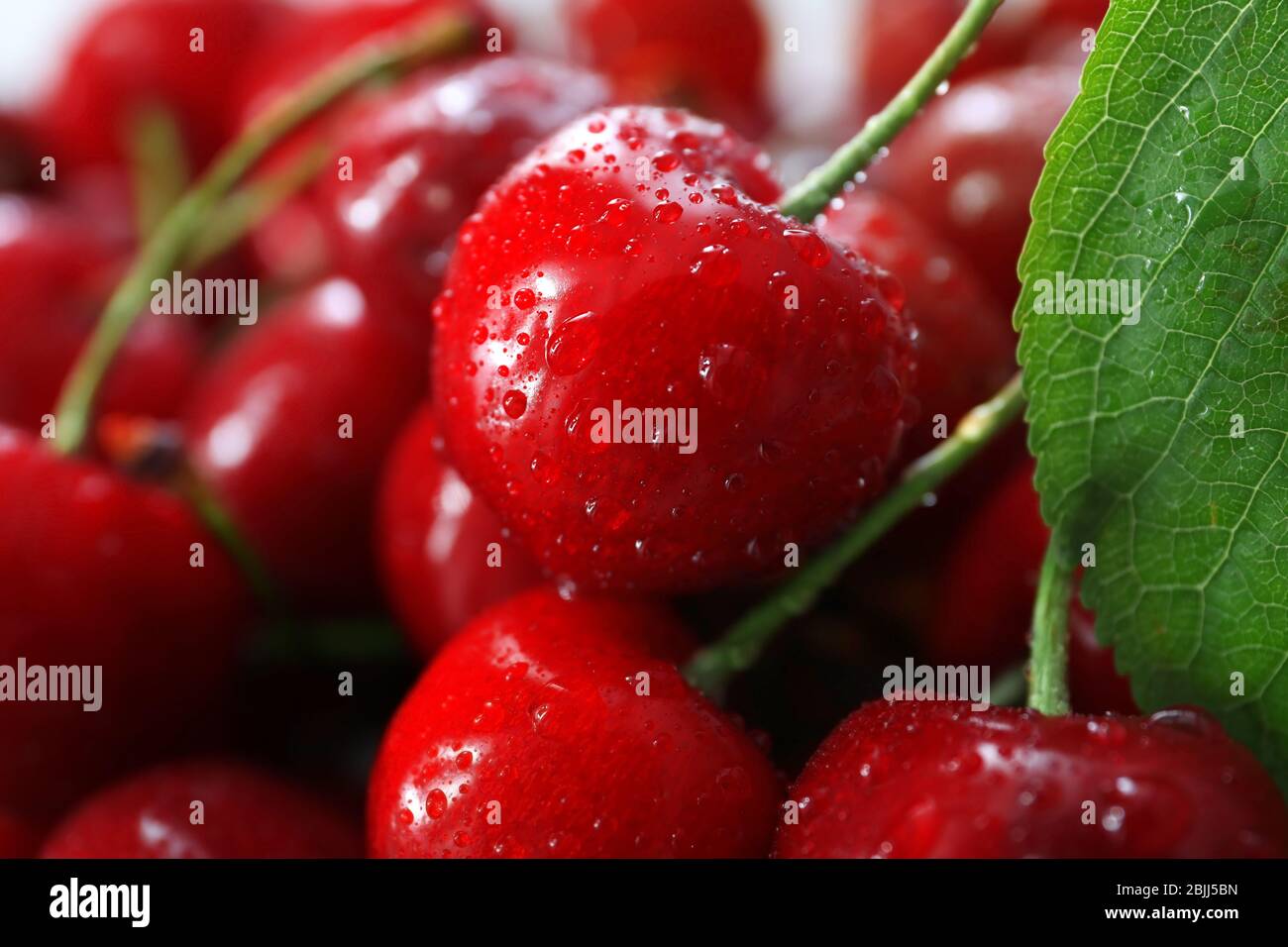 Fresh ripe cherries, close up Stock Photo - Alamy
