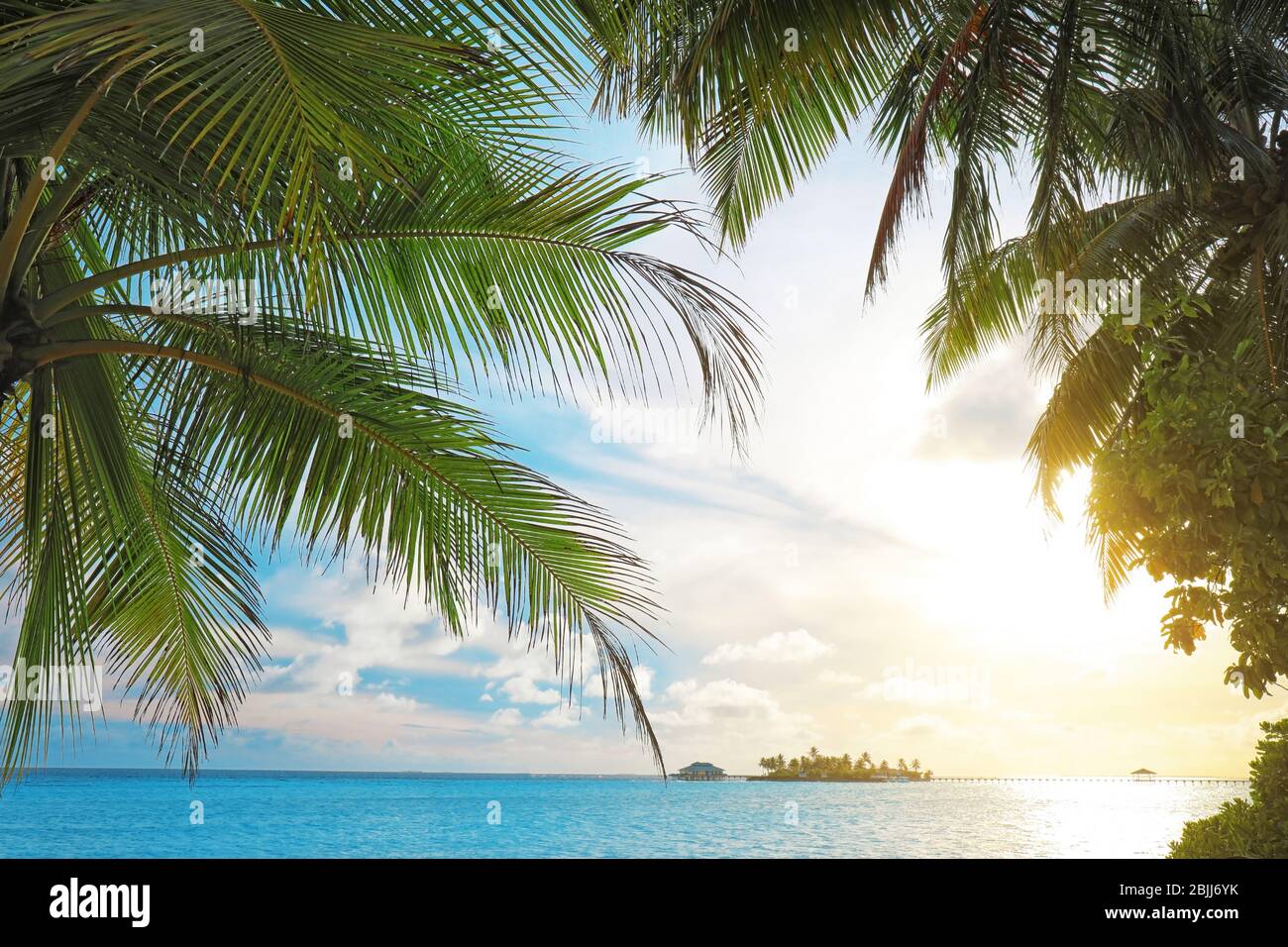 Palms and beautiful blue sea at resort Stock Photo - Alamy