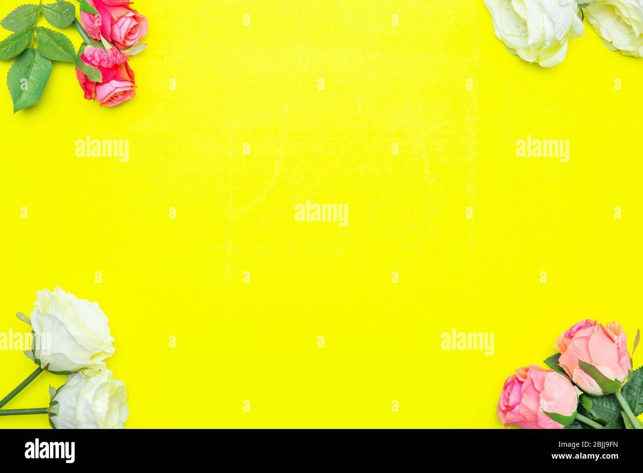 Floral flat lay background. Composition of rose flowers on colorful ...