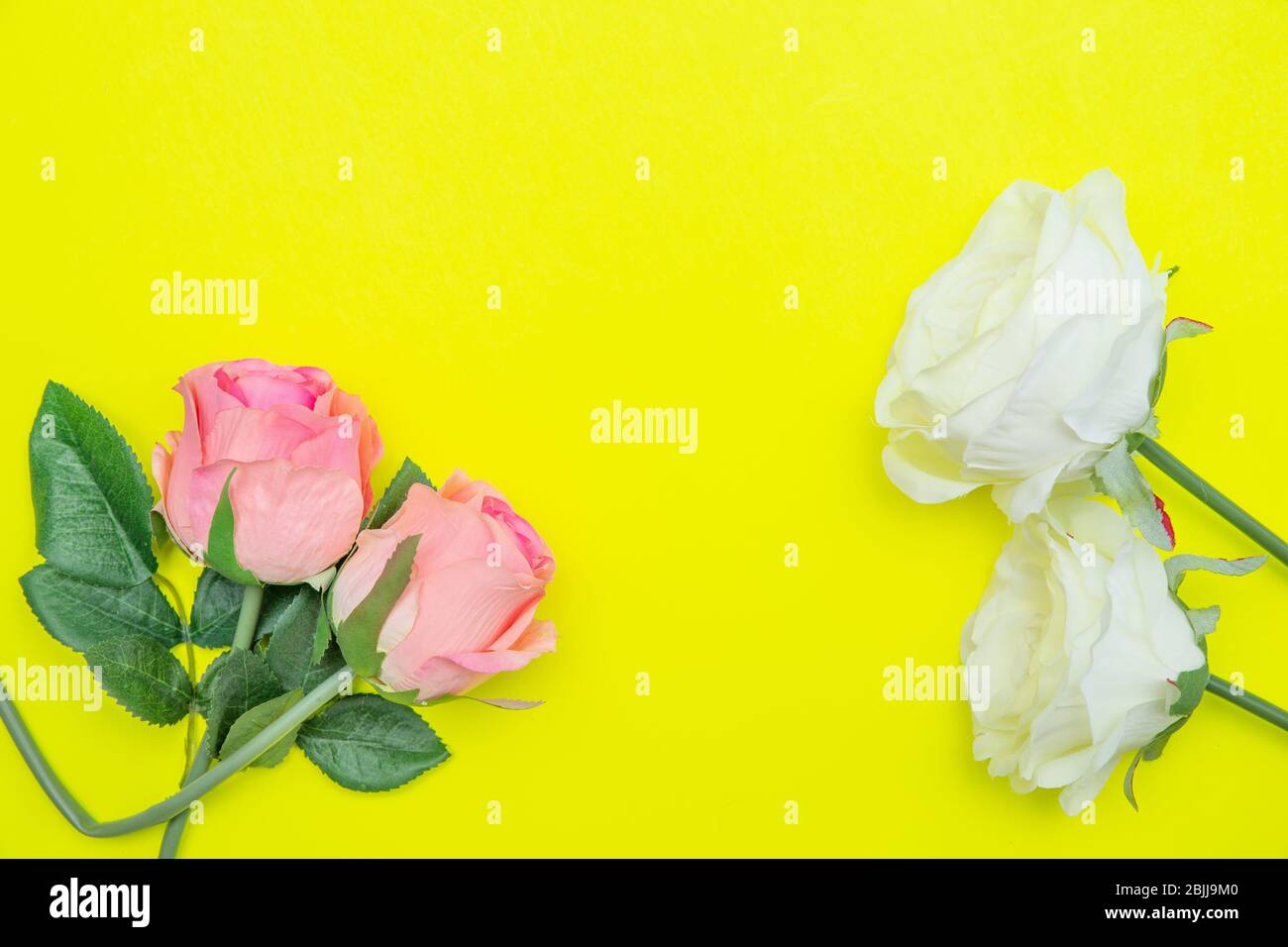 Floral flat lay background. Composition of rose flowers on colorful ...