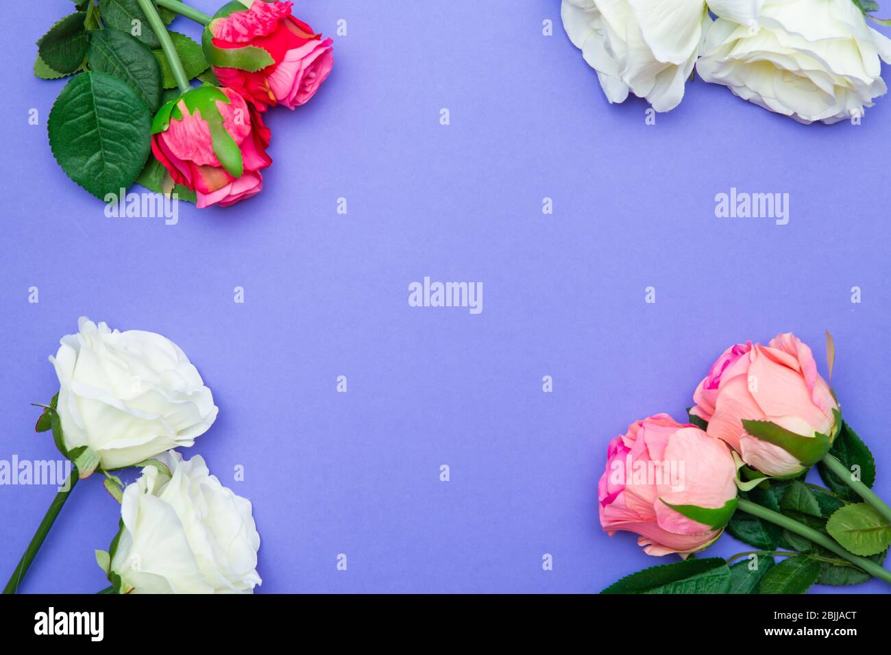 Floral flat lay background. Composition of rose flowers on colorful ...