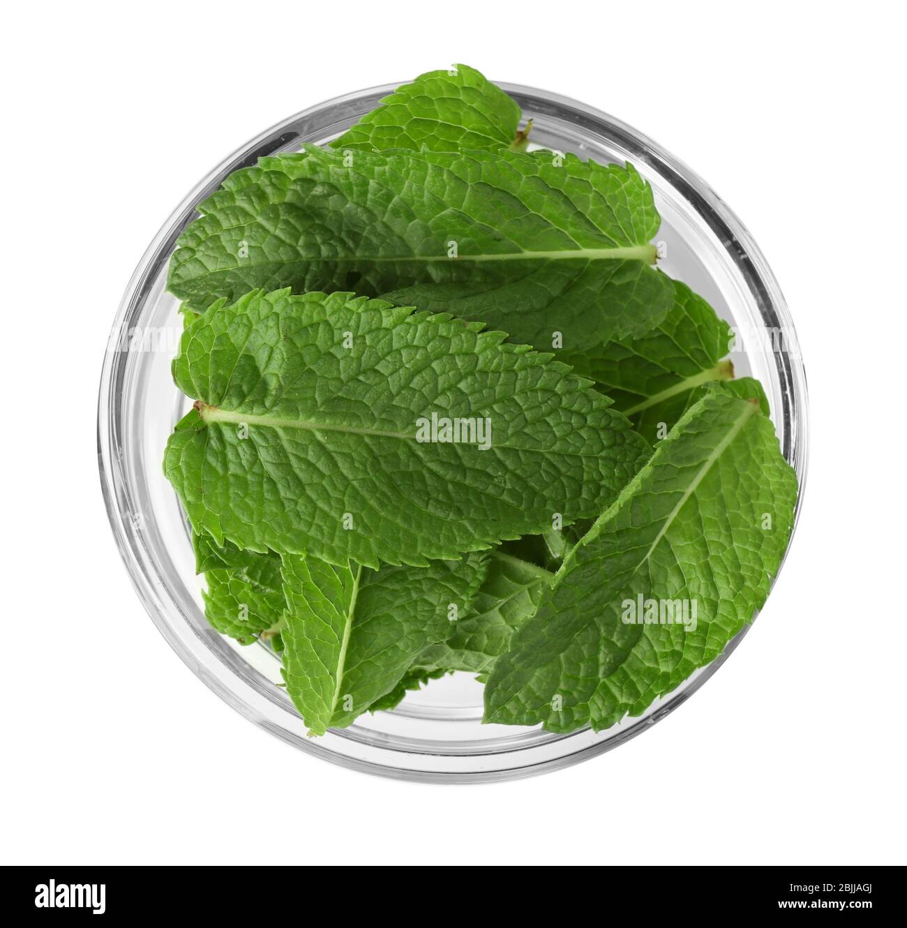 Glass bowl with fresh mint leaves on white background Stock Photo - Alamy