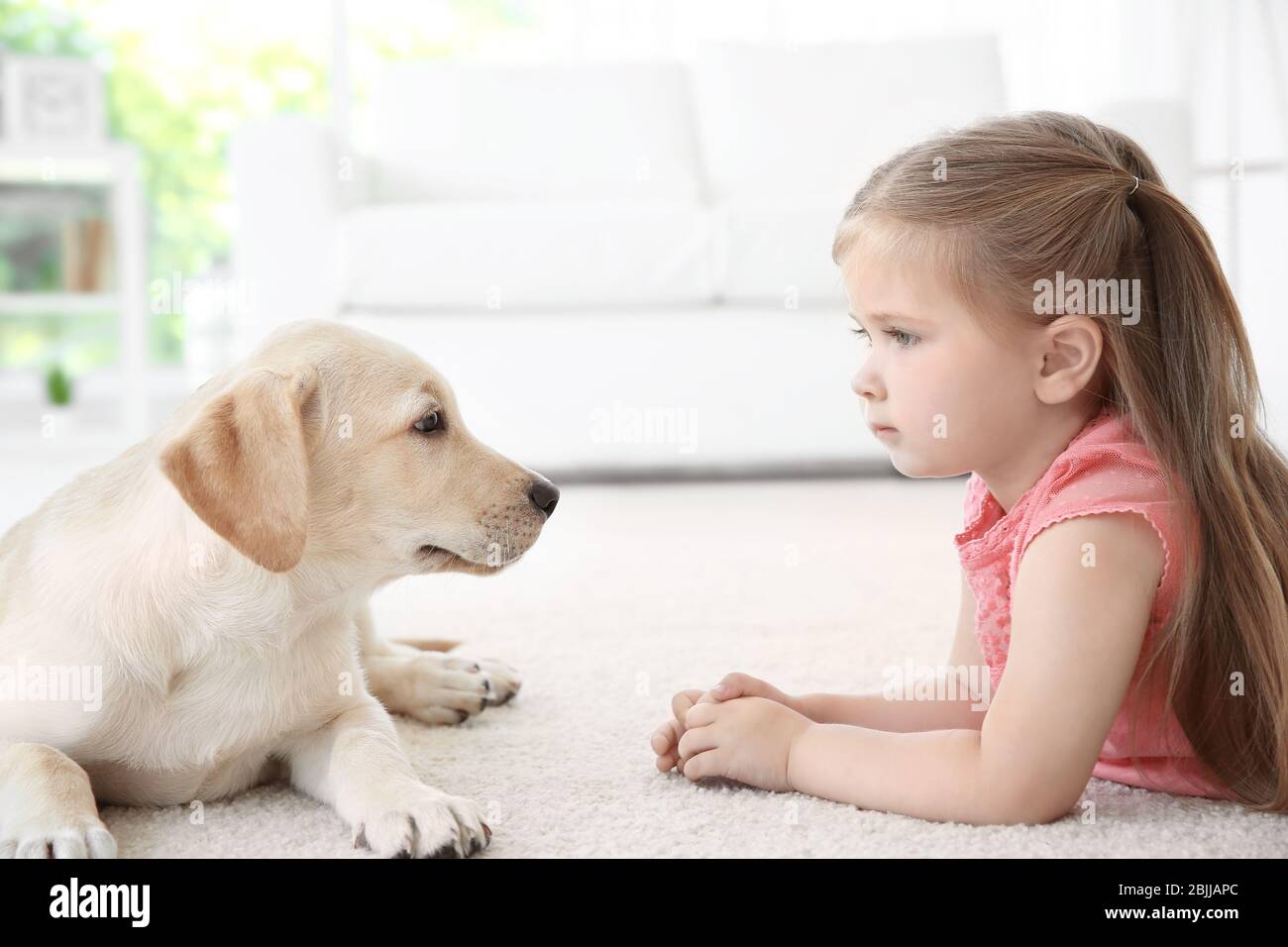 Cute child with Labrador Retriever at home Stock Photo - Alamy