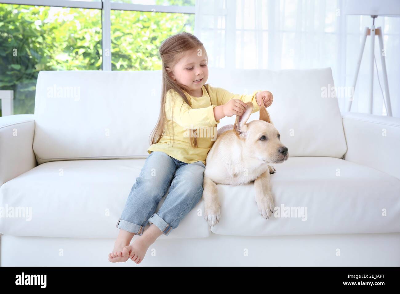 Cute child with Labrador Retriever on sofa Stock Photo - Alamy