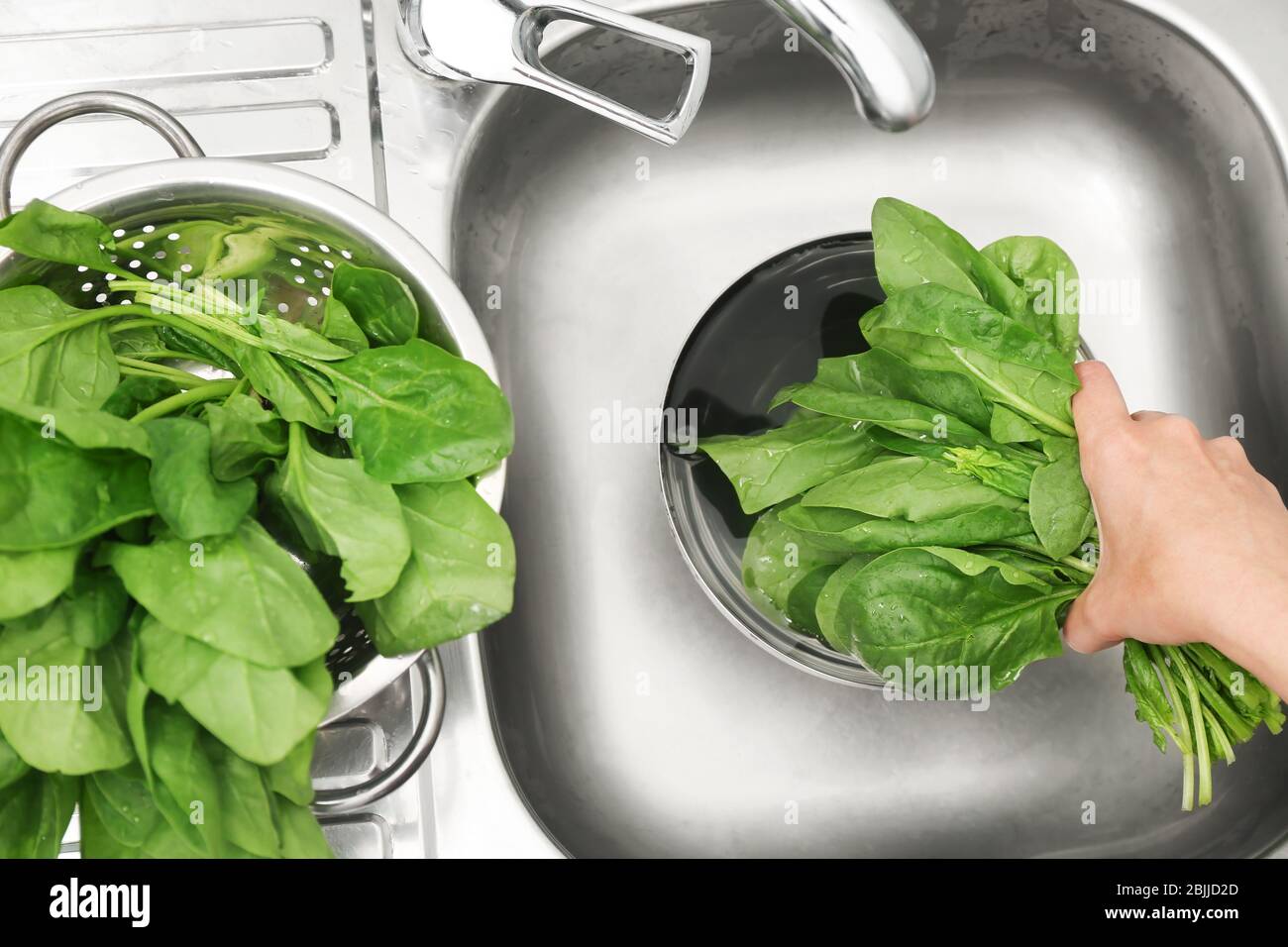 Woman washing spinach in sink Stock Photo - Alamy