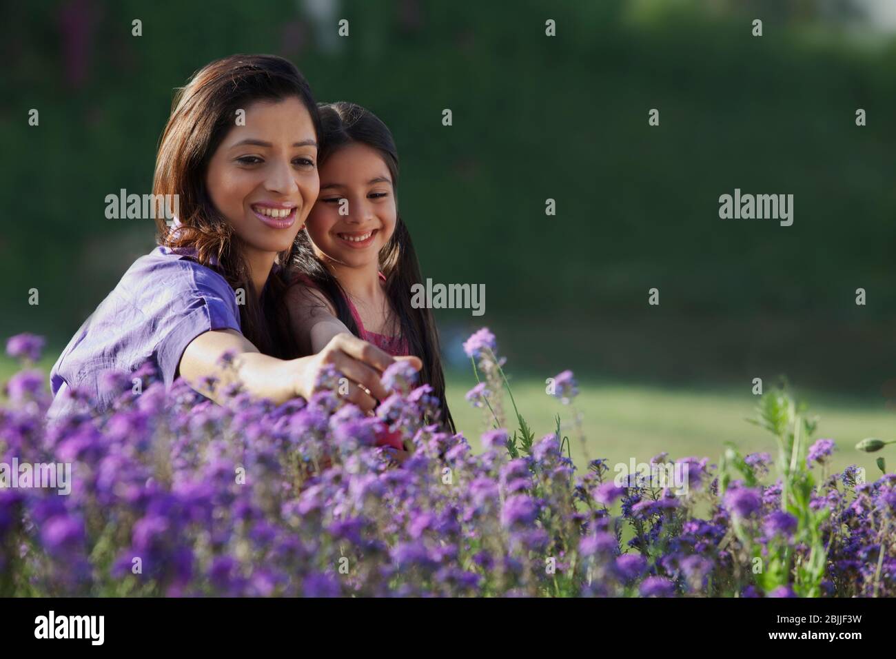 Woman plucking flowers hi-res stock photography and images - Alamy