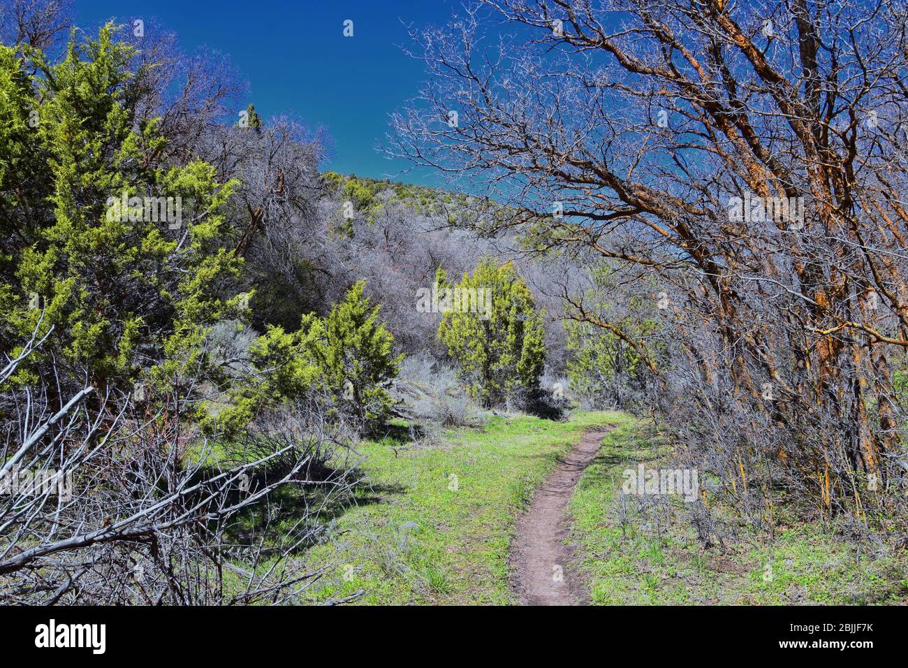 Hiking Trails in Oquirrh, Wasatch, Rocky Mountains in Utah early spring ...