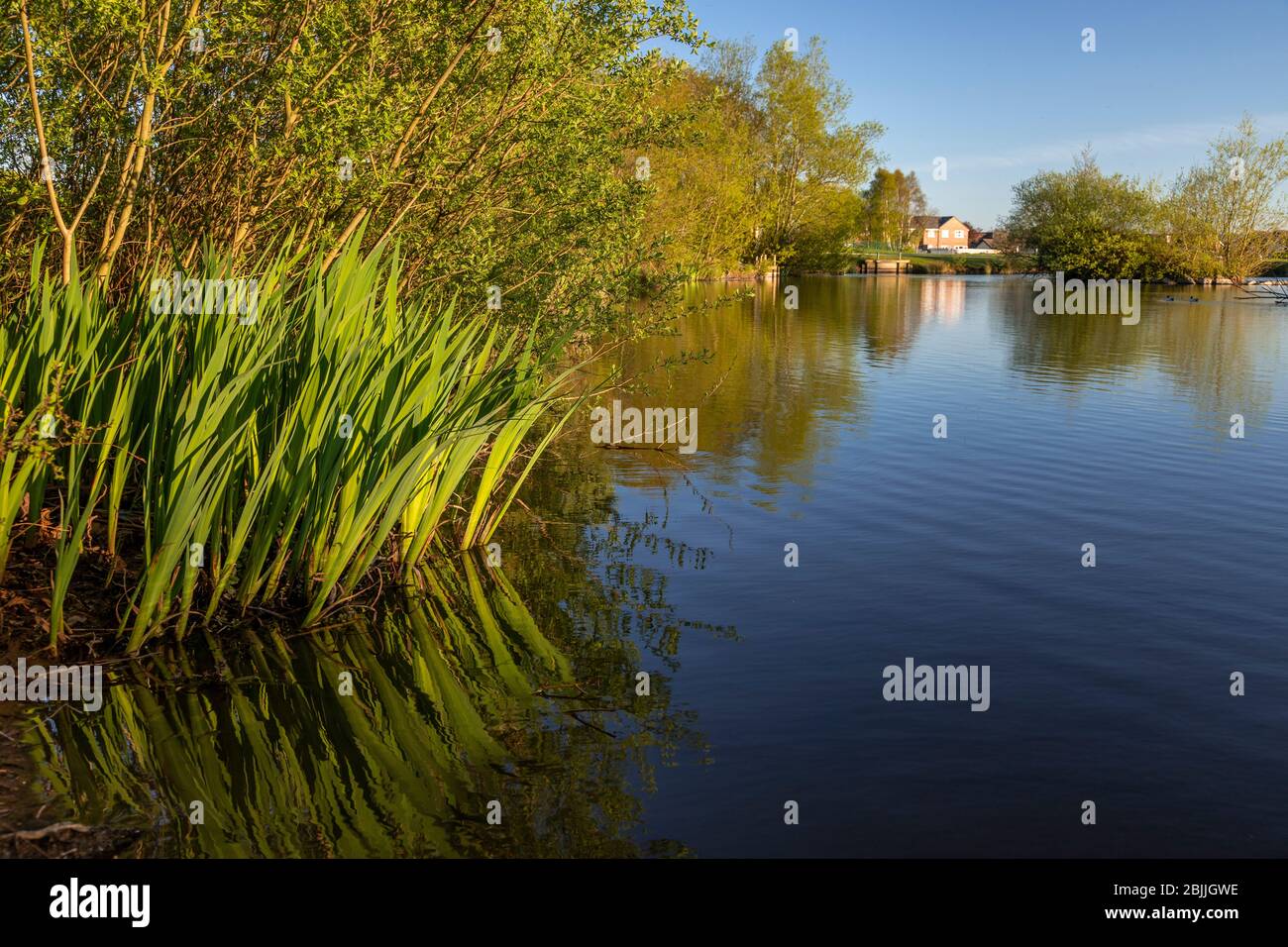 Buckley High Resolution Stock Photography and Images - Alamy