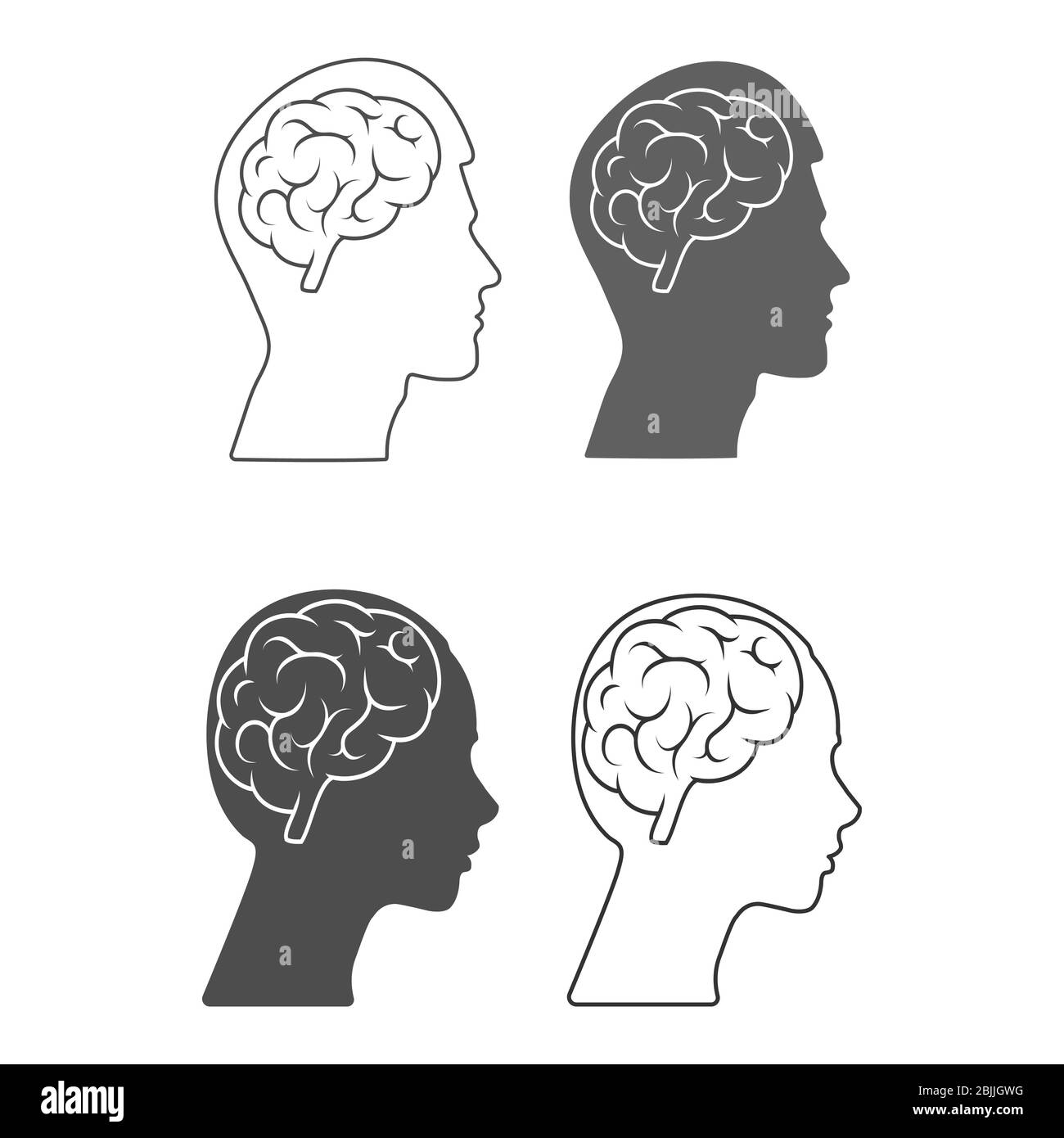 Vector icon of a male and female head with a brain Empty outline and ...